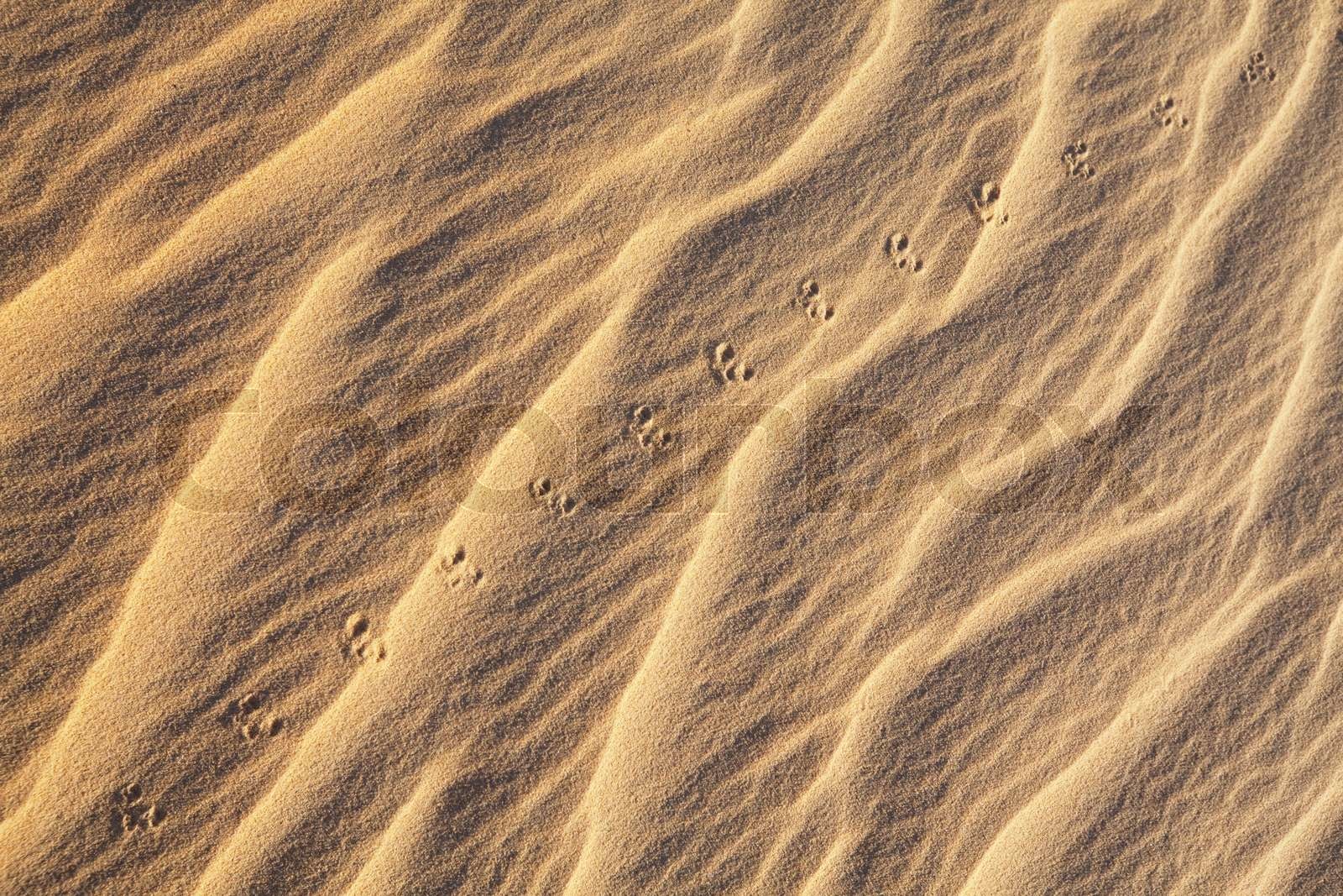 Sand | Stock image | Colourbox