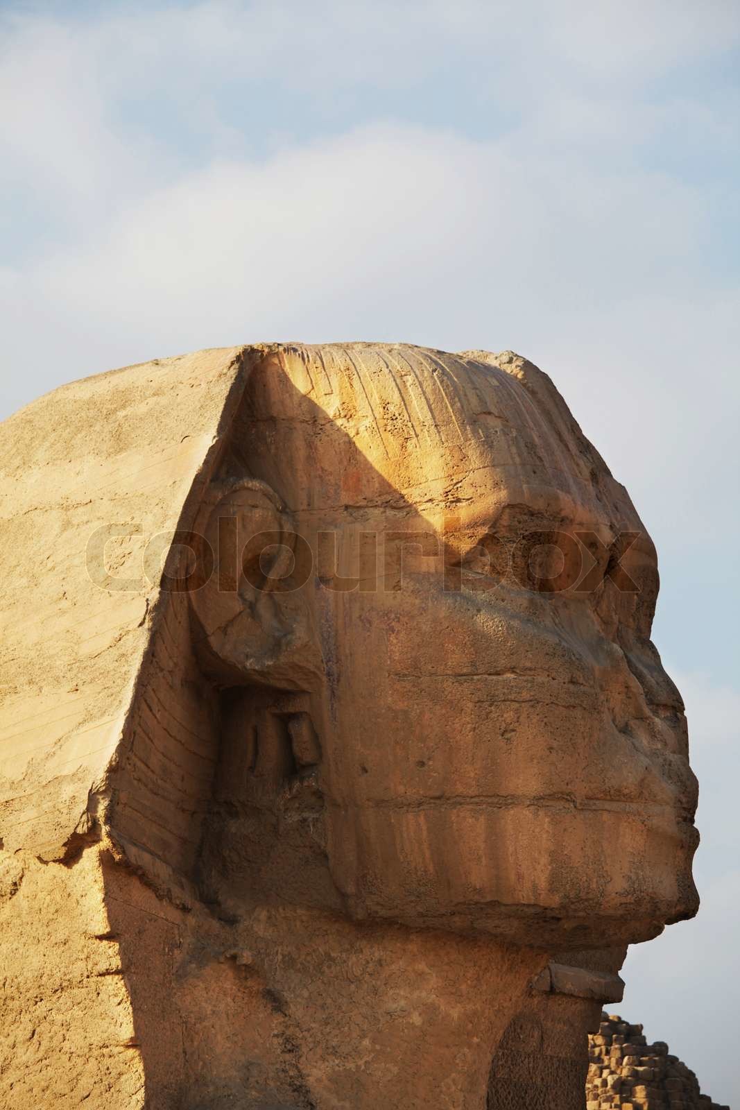 Sphynx | Stock image | Colourbox