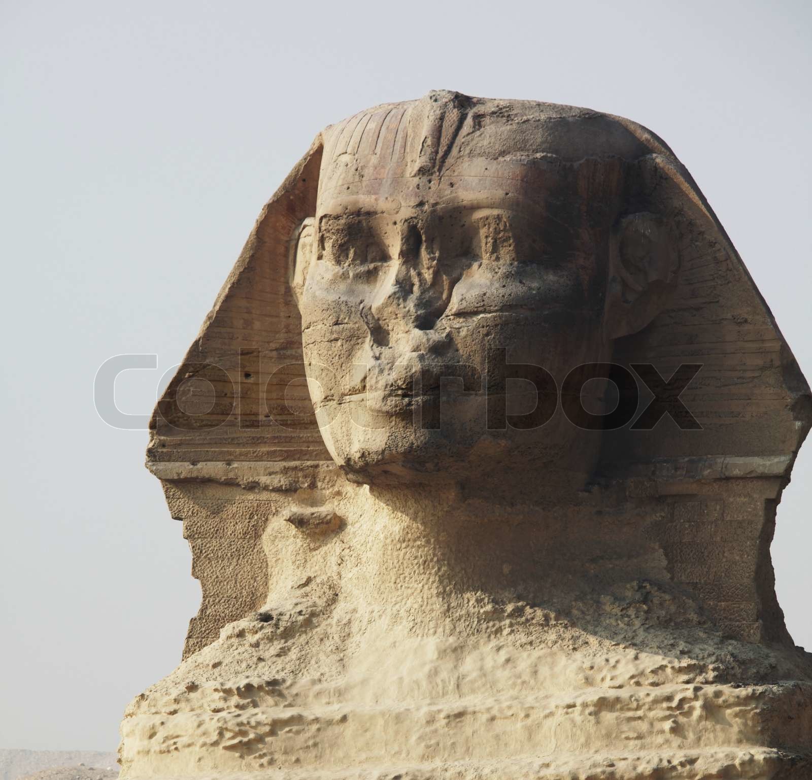 Sphynx | Stock image | Colourbox