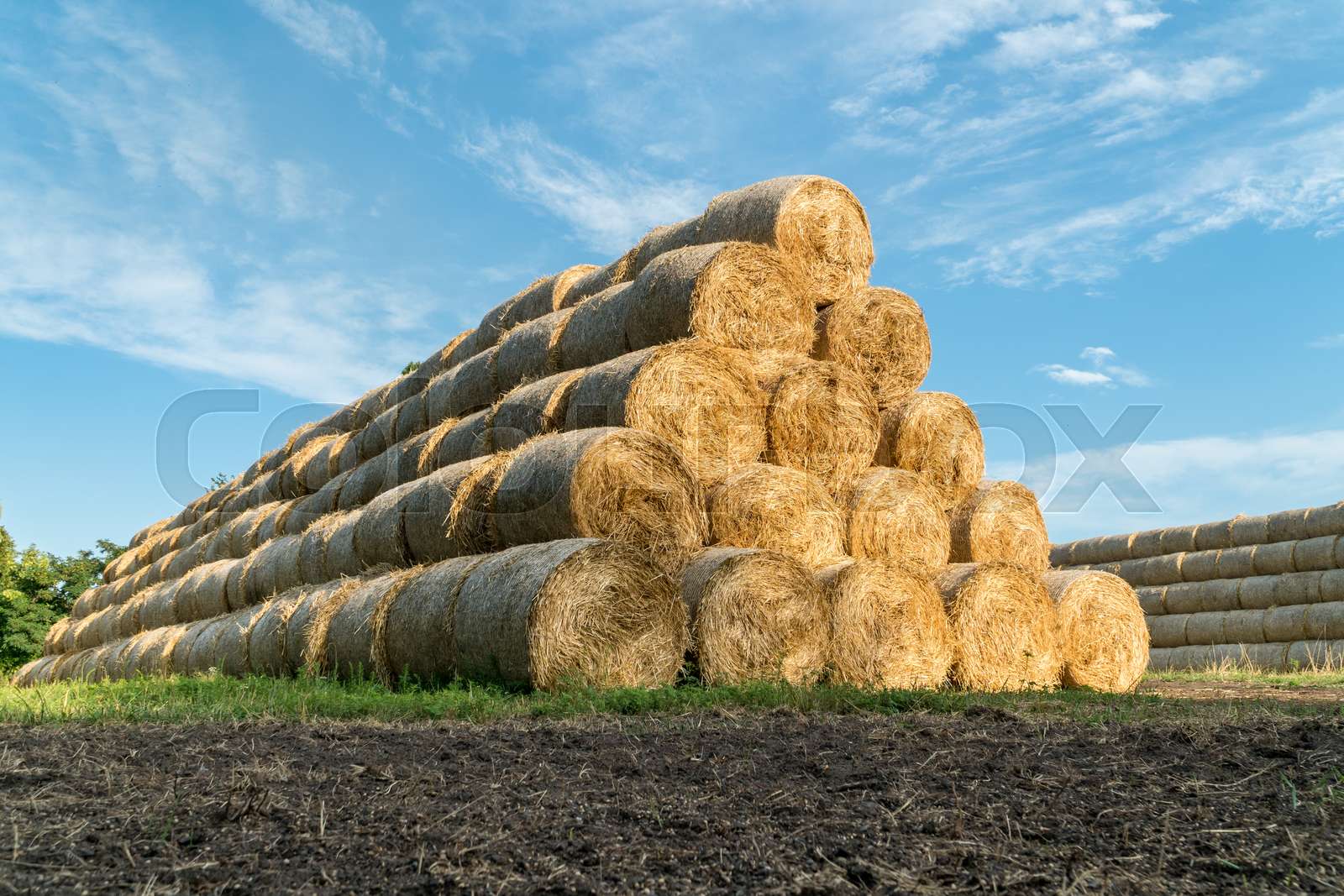 Pyramid of hay barrels stacked in a field near animal farm | Stock ...