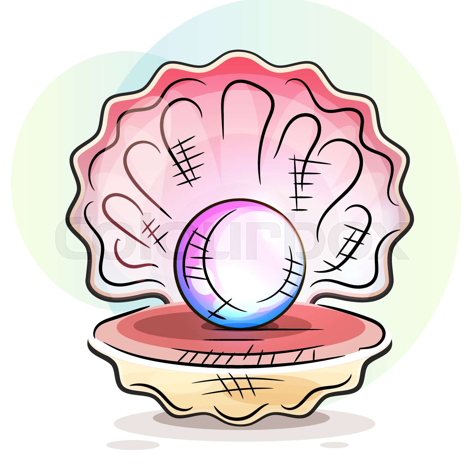 Beautiful Natural Open Pearl Shell Close Up Realistic Single Valuable ...