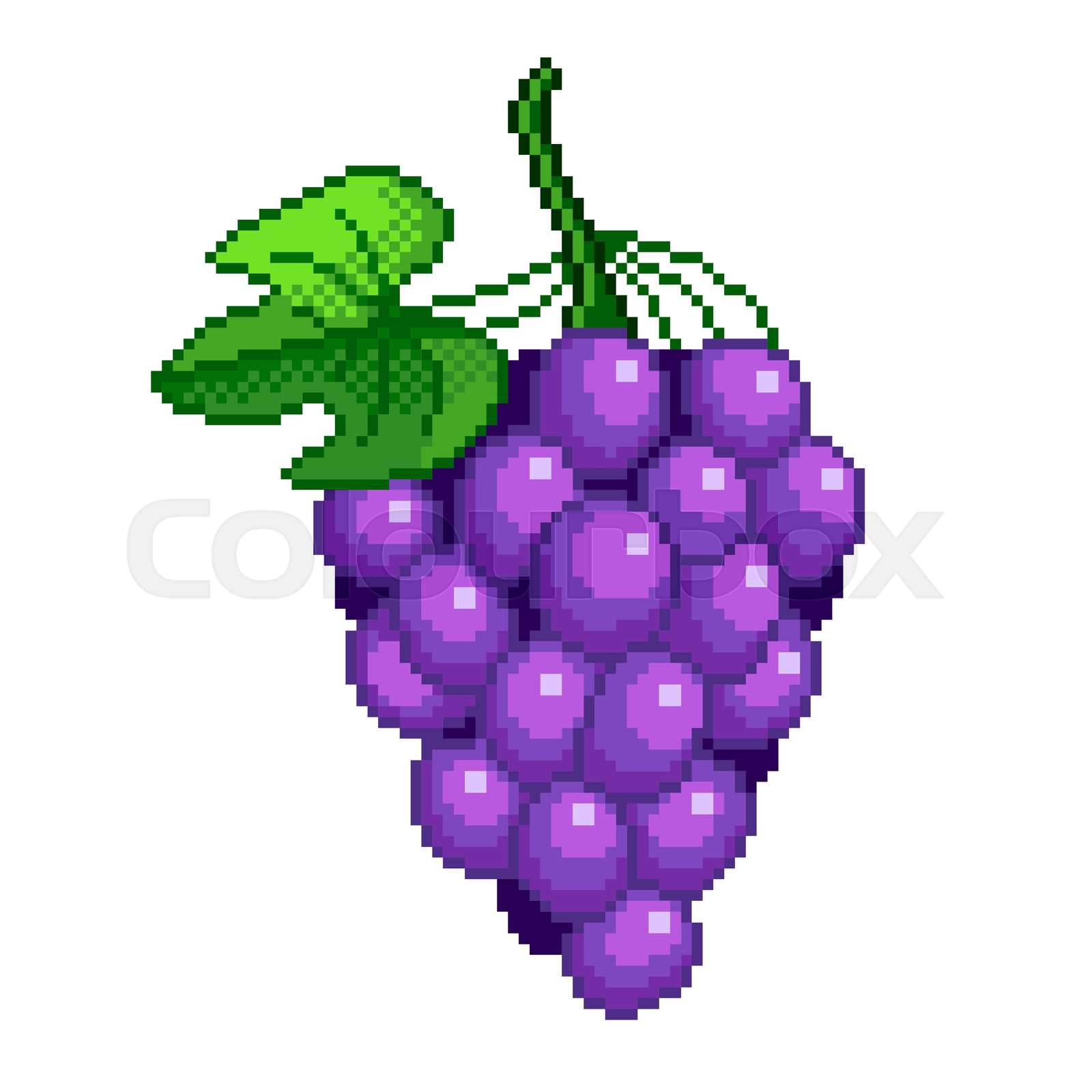 Pixel green grapes detailed illustration isolated vector | Stock vector ...