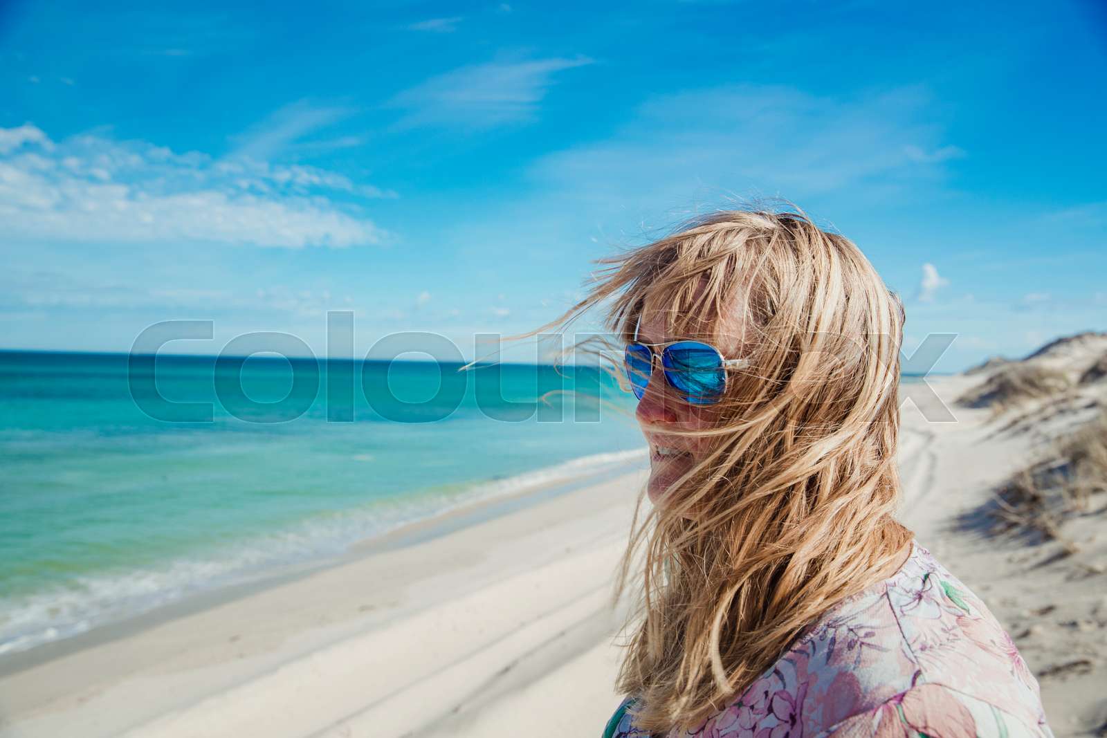 Wind Swept on the Beach | Stock image | Colourbox