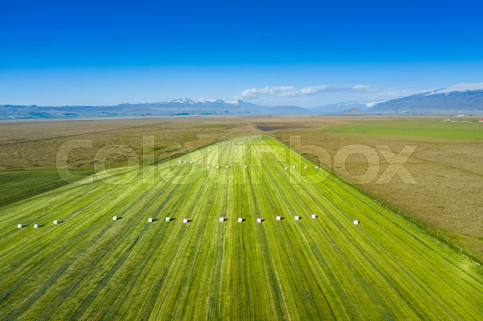 Aerial view of round hay bales | Stock image | Colourbox