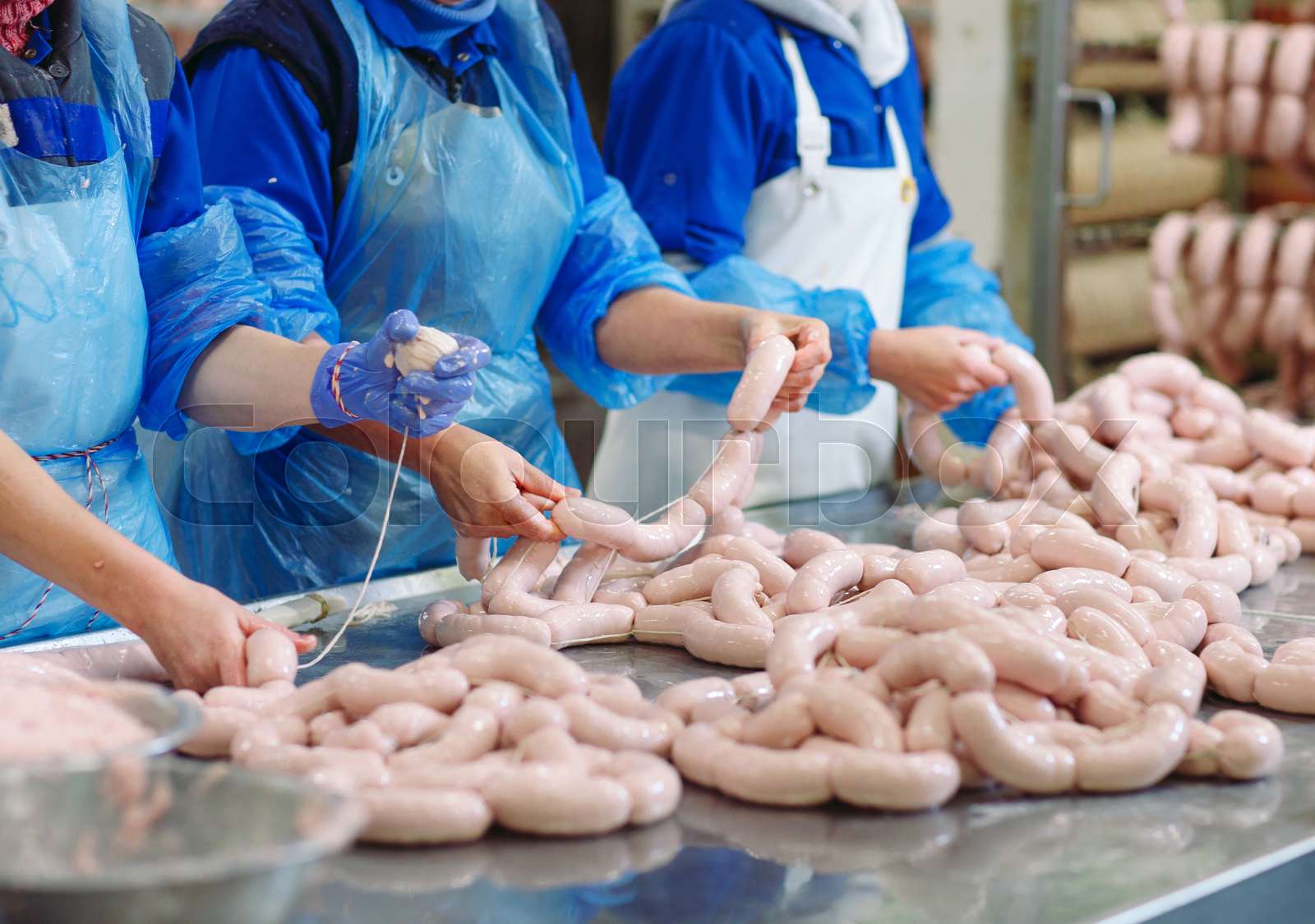 Butchers processing sausages at the meat factory. | Stock image | Colourbox