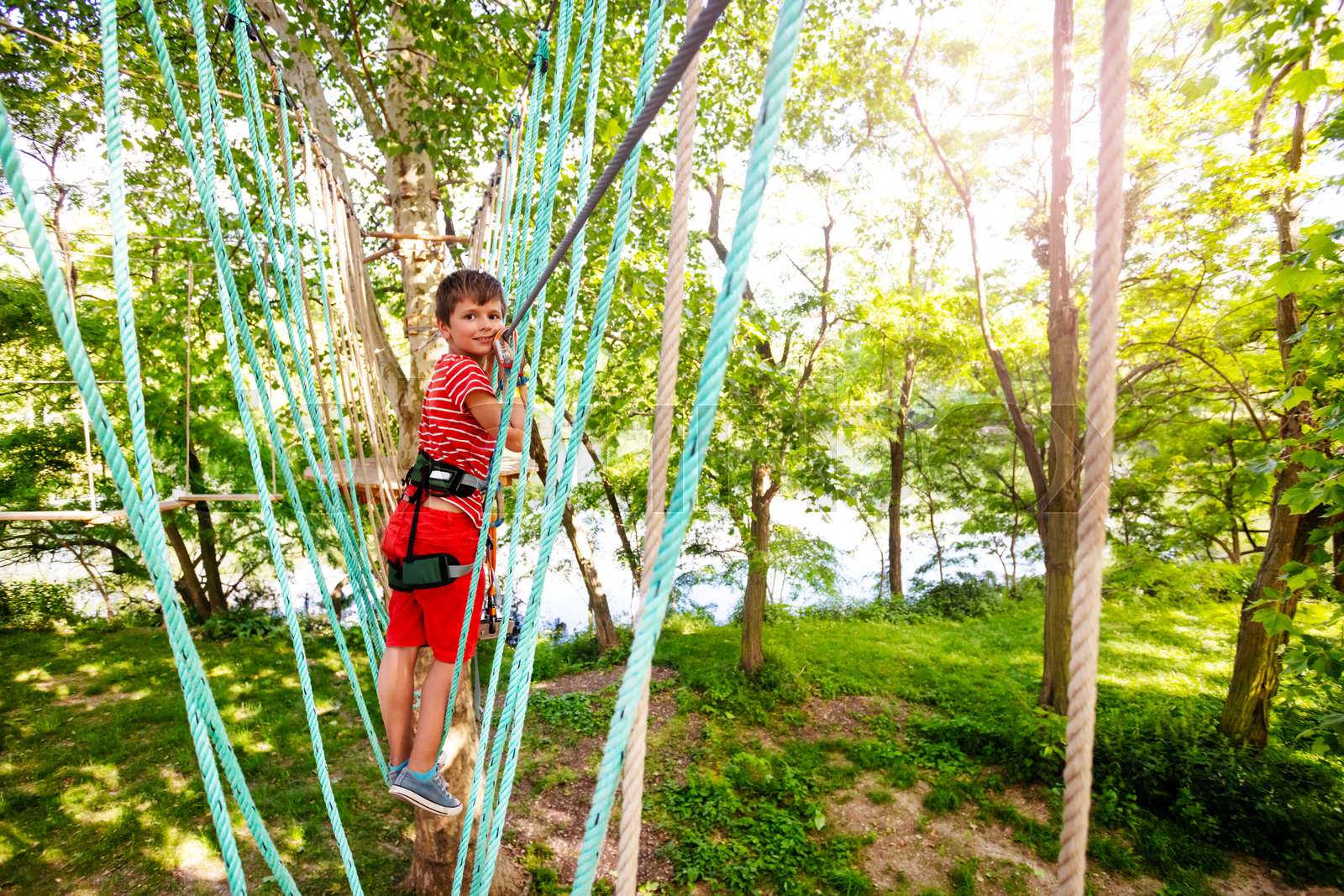 Boy walk on ropes between trees in adventure park | Stock image | Colourbox