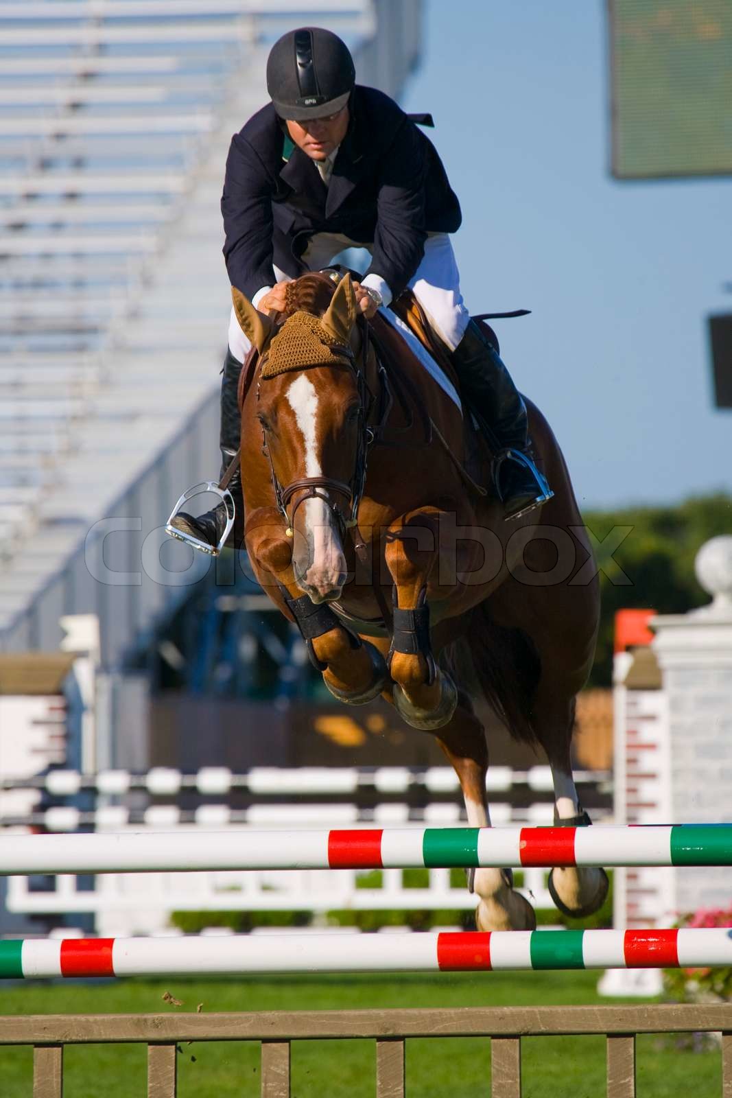 Horse Show Jumping | Stock image | Colourbox