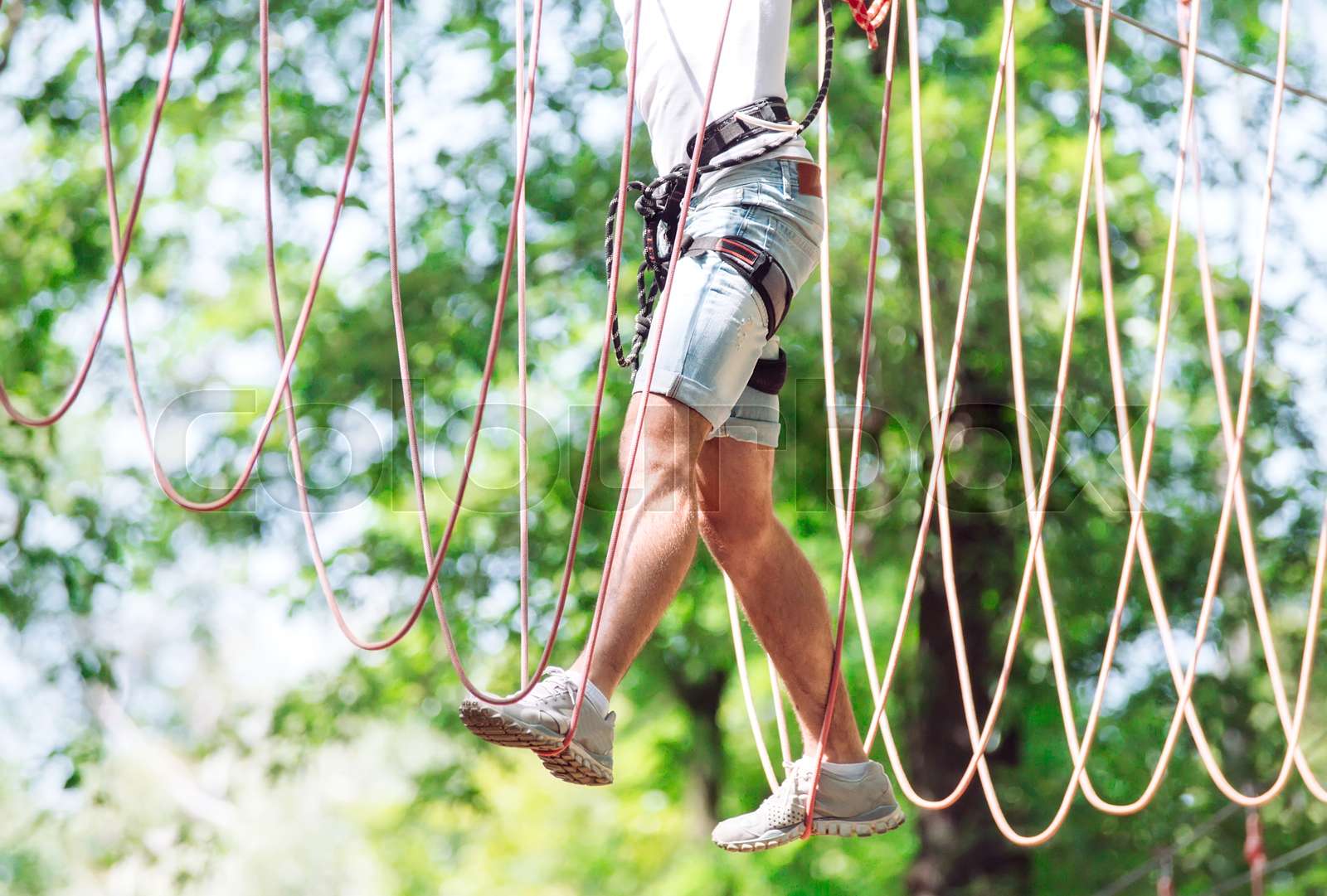 Man spend their leisure time in a ropes course. Man engaged in rope ...