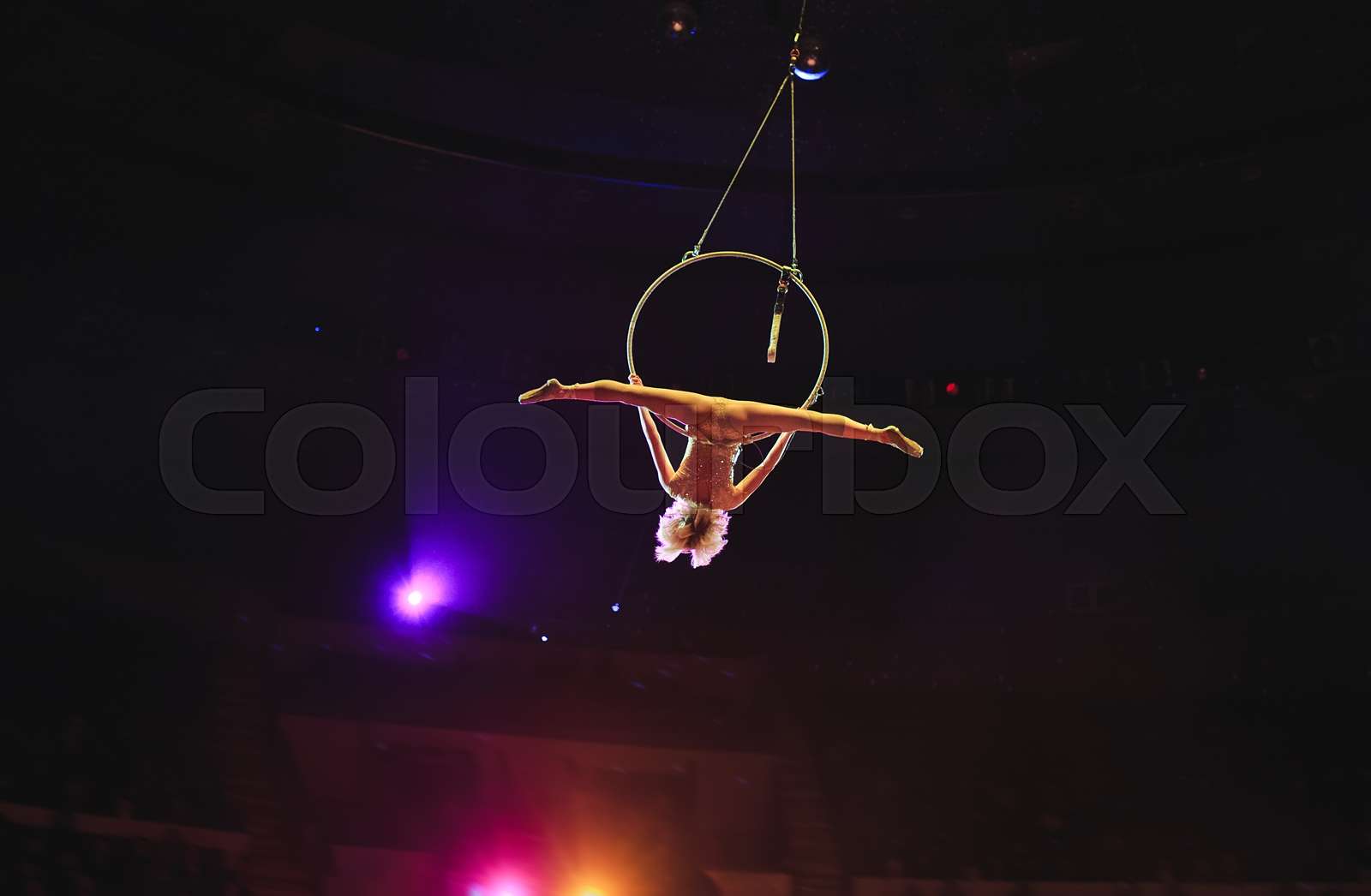 akrobatin, zirkus, arena | Stock Bild | Colourbox