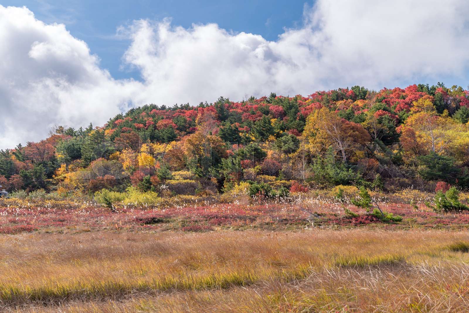 Fukushima Mountain bandai Autumn Fall | Stock image | Colourbox