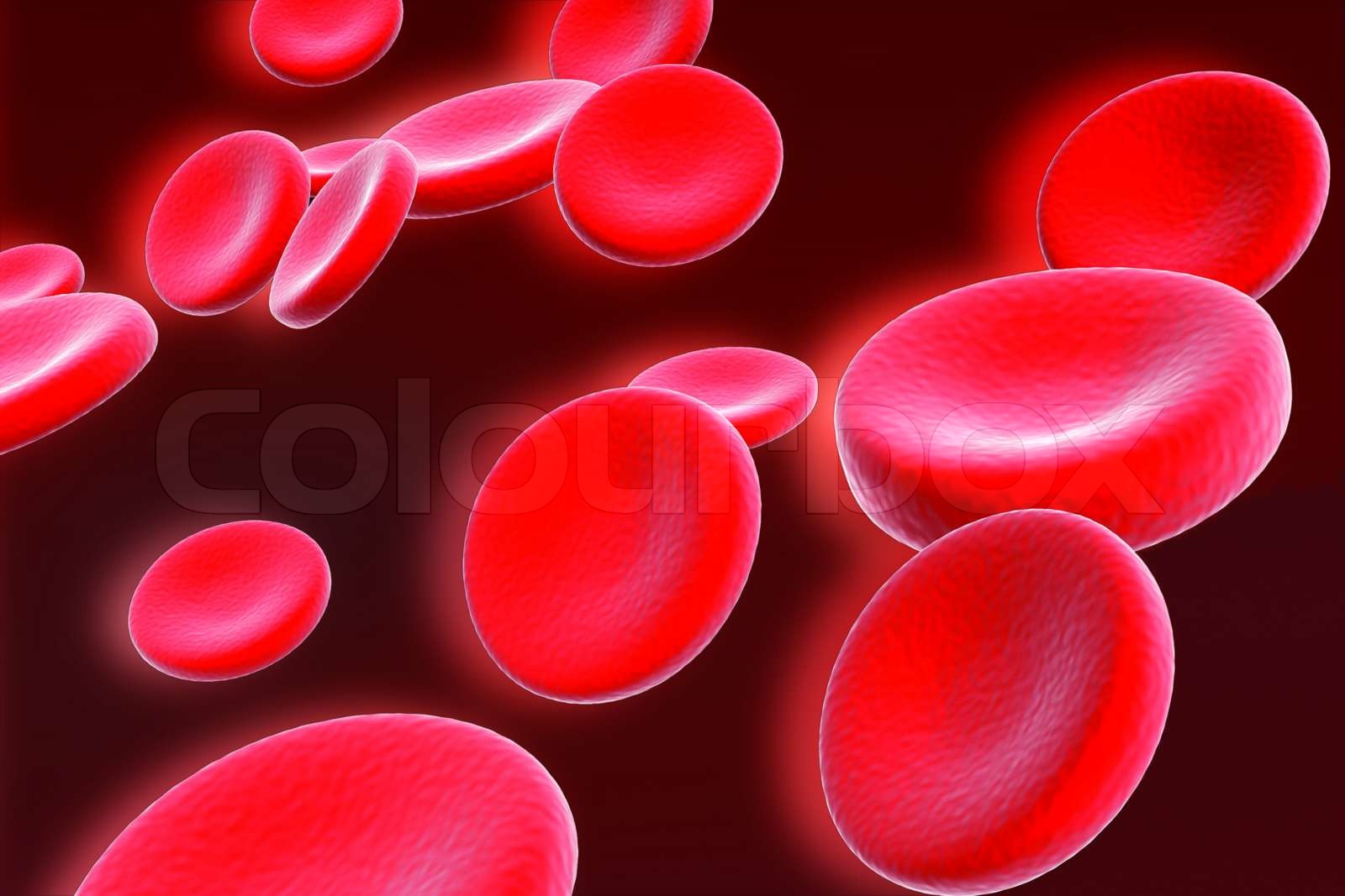 blood cells | Stock image | Colourbox