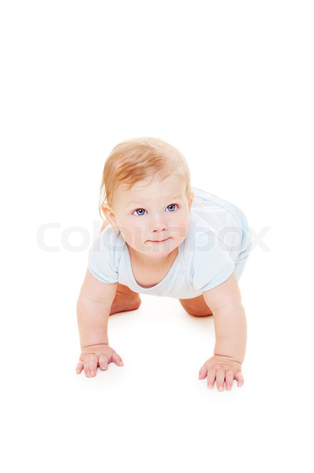 studio picture of baby crawling | Stock image | Colourbox