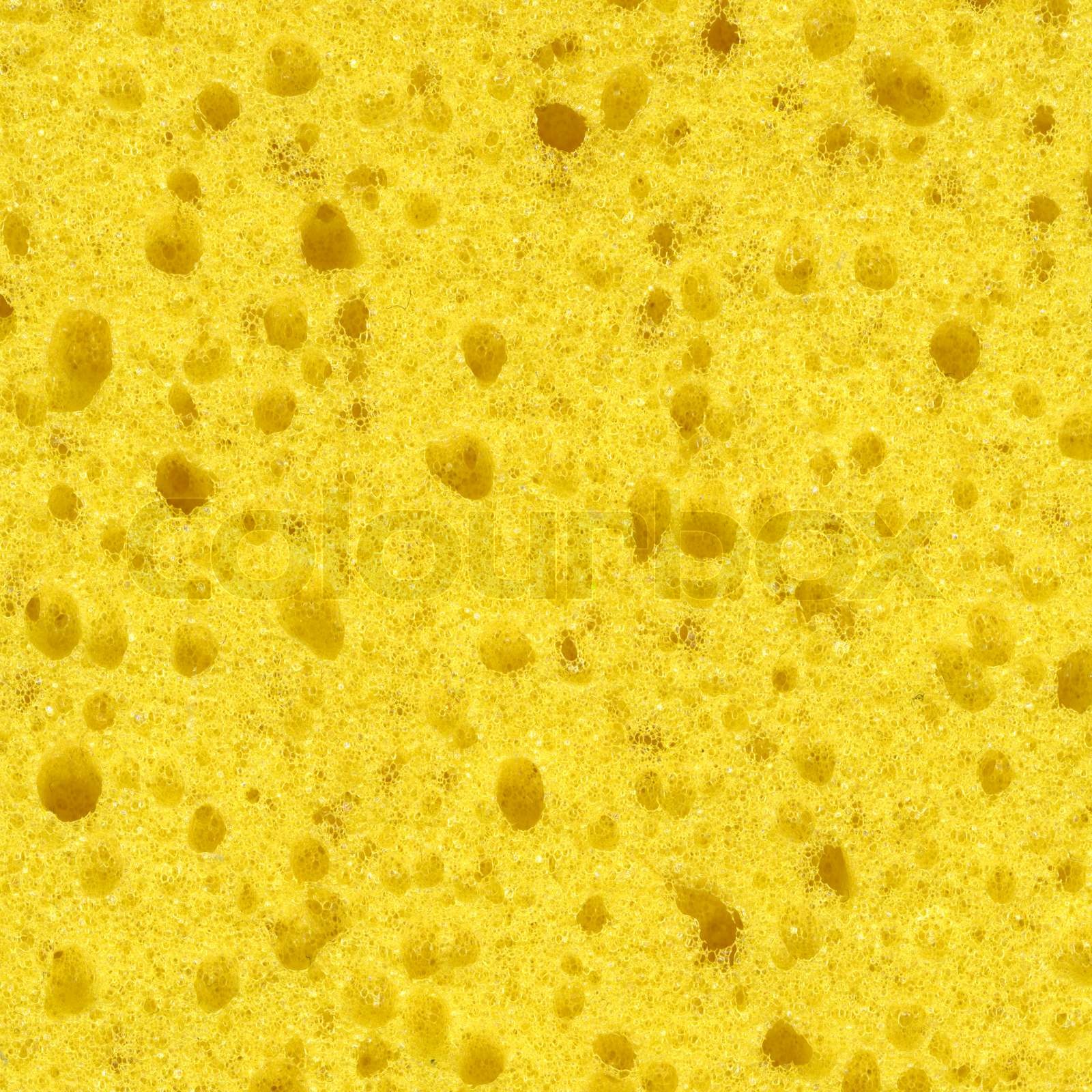 Yellow Sponge | Stock image | Colourbox