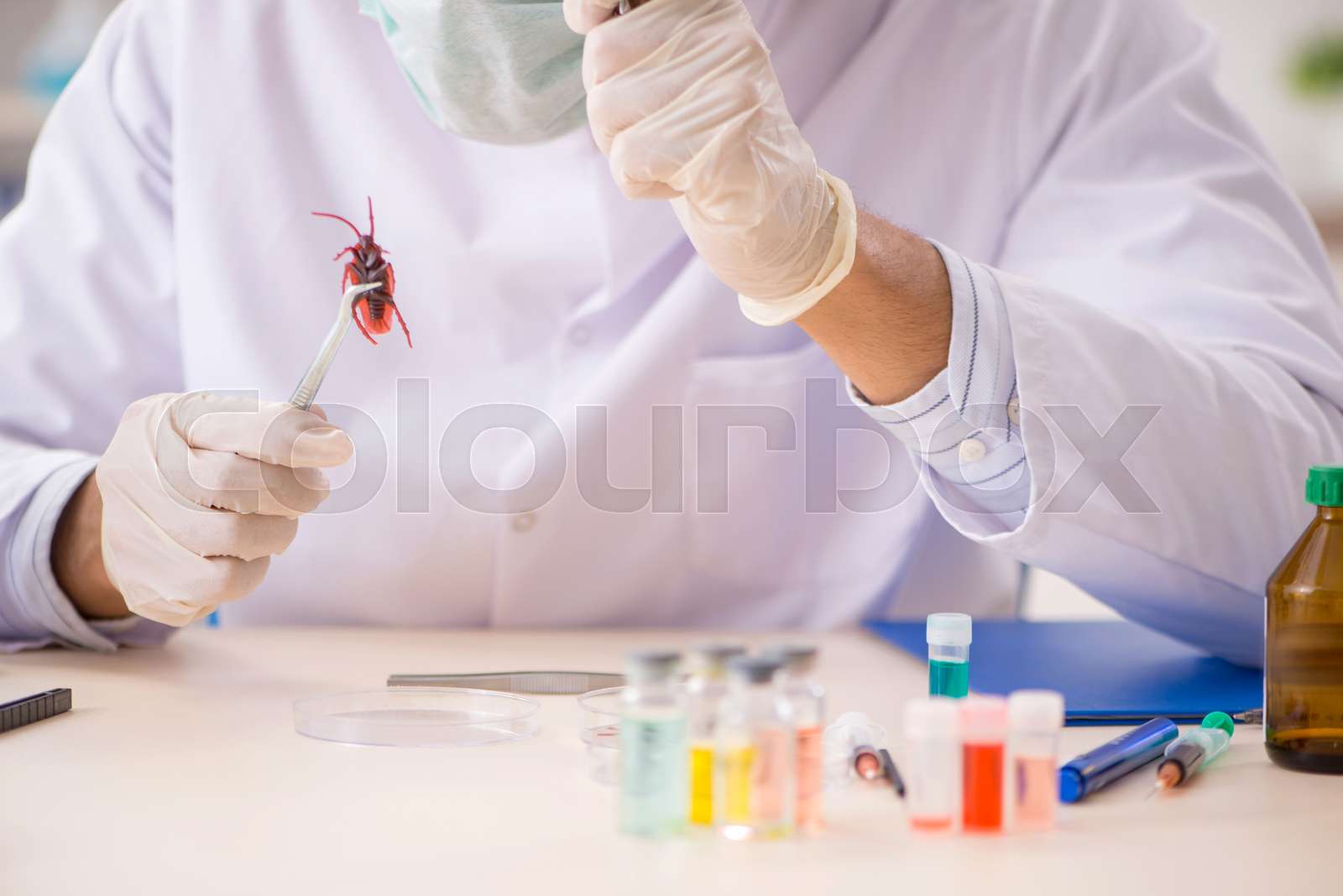 Male entomologist working in the lab on new species | Stock image ...