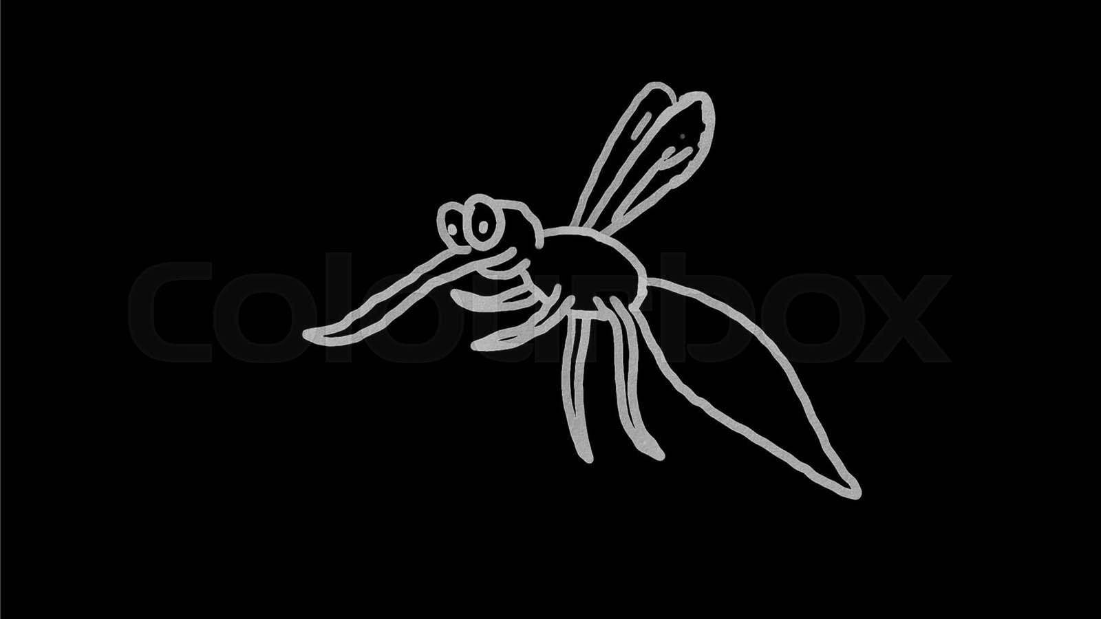 Flying Mosquito Drawing