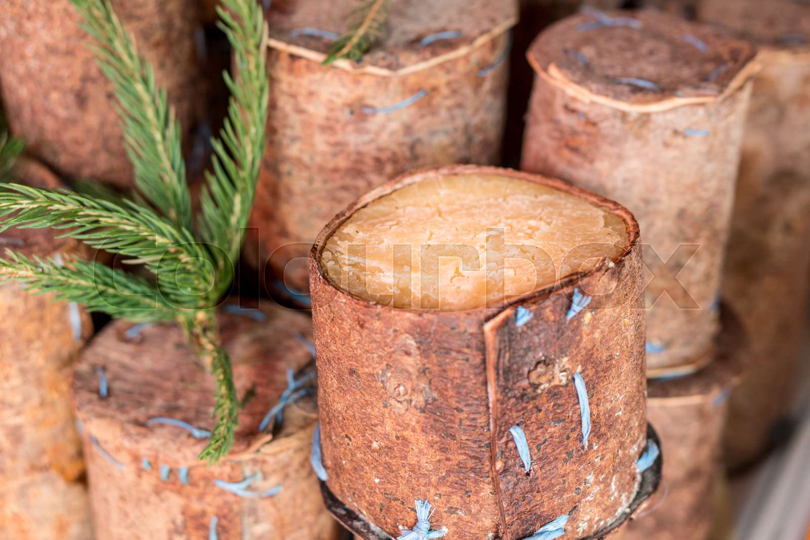 Traditional romanian sheep cheese Brânză de burduf | Stock image ...