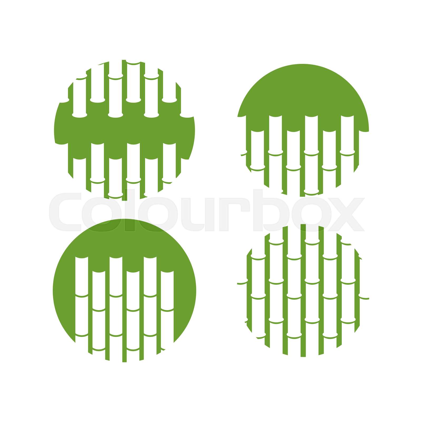 Bamboo graphic design template vector isolated illustration | Stock ...