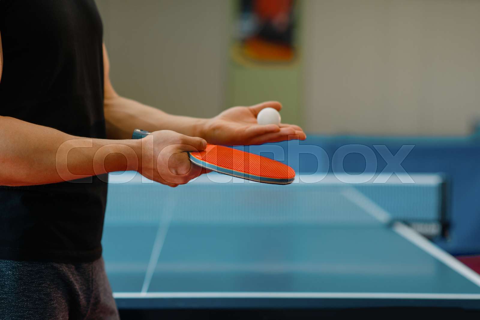 Male person hands with ping pong racket and ball | Stock image | Colourbox