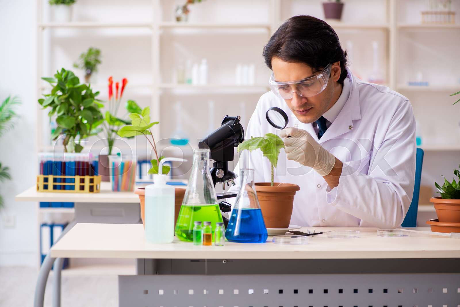 Biotechnology chemist working in lab | Stock image | Colourbox