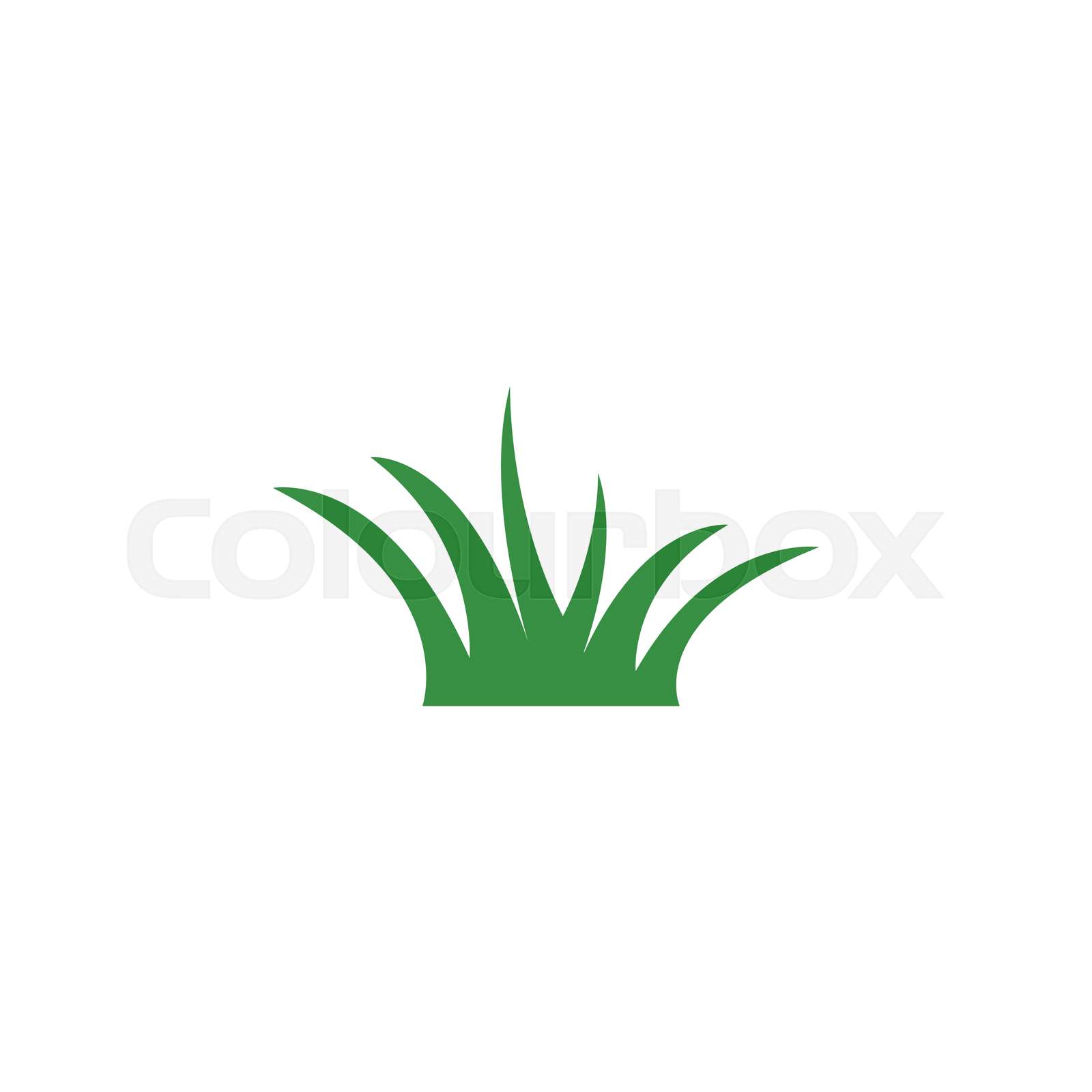 Green grass graphic design template vector isolated | Stock vector ...