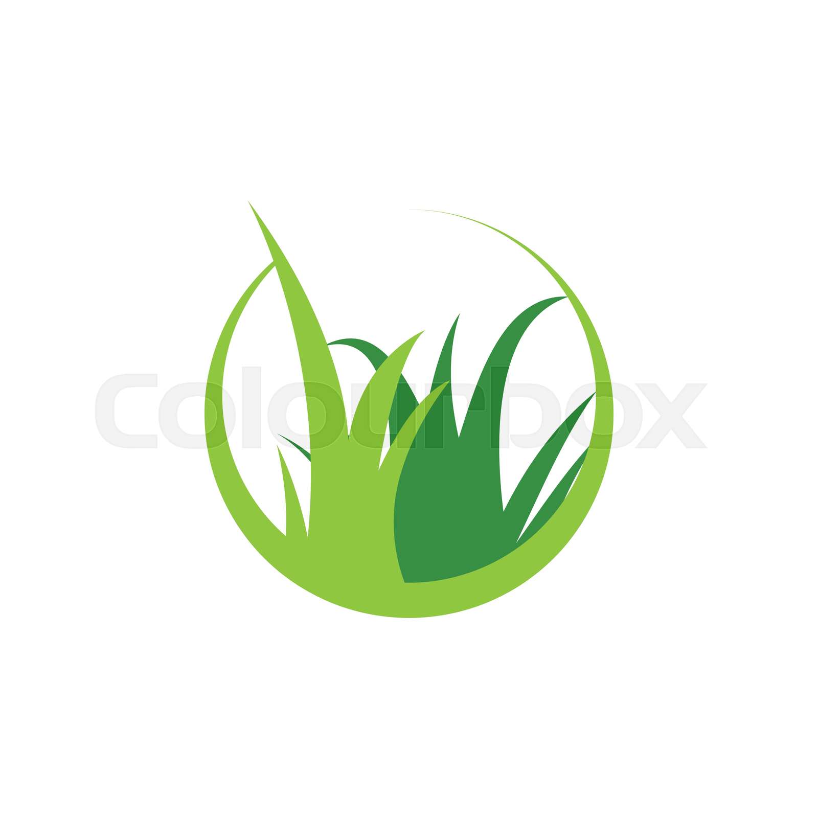 Green grass graphic design template vector isolated | Stock vector ...