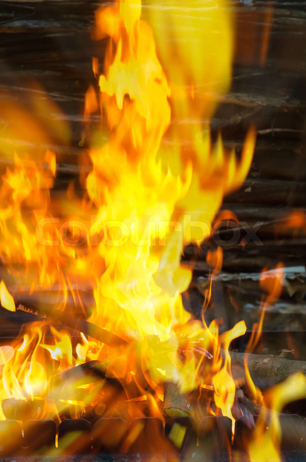bonfire light | Stock image | Colourbox