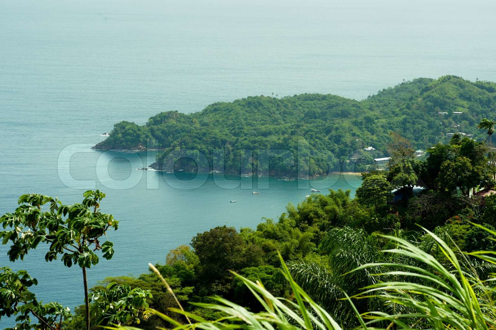 Hillside view over the ocean | Stock image | Colourbox