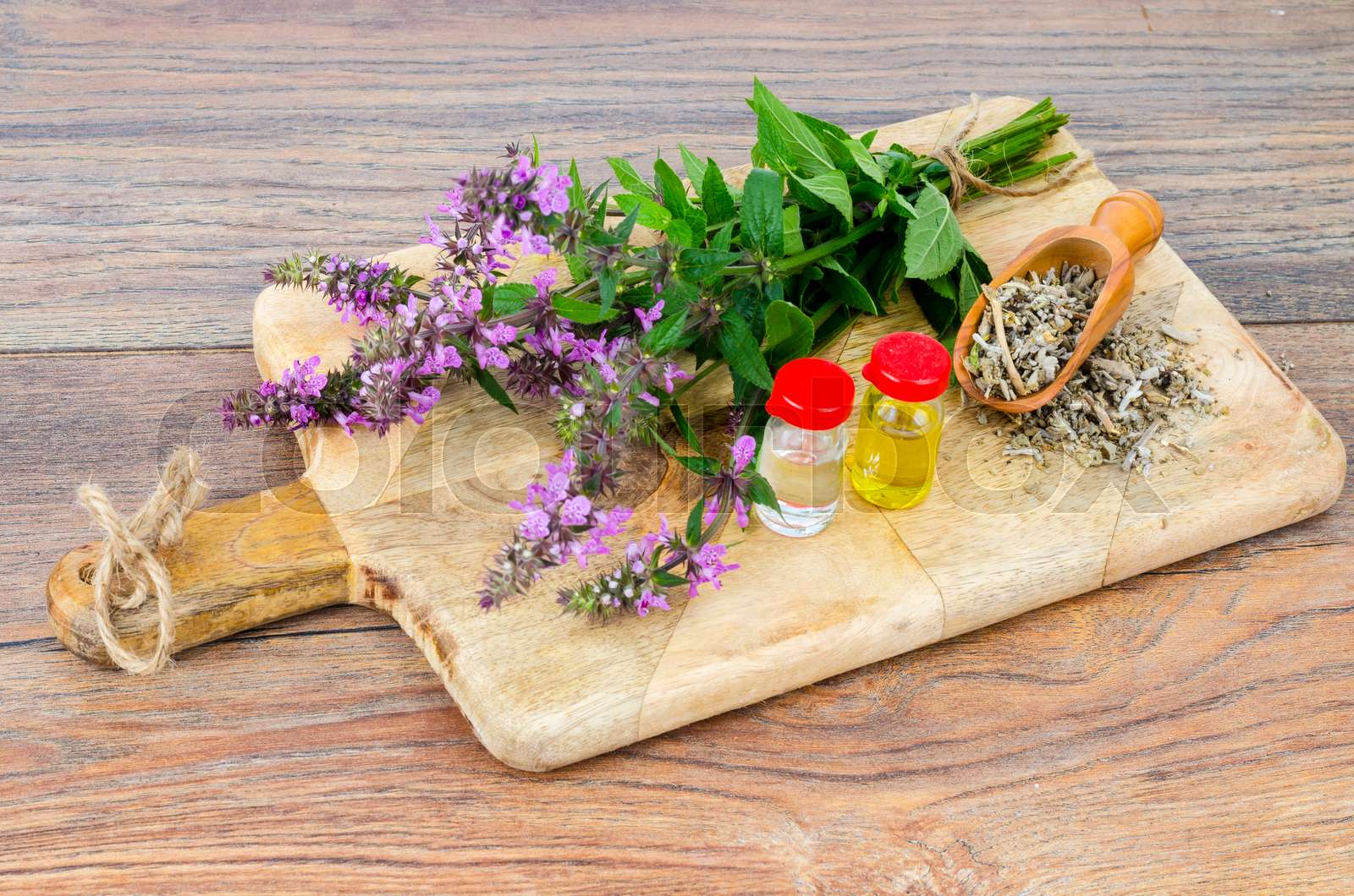 Pharmaceutical tincture, extract of wild herbs, medicinal flowers in ...