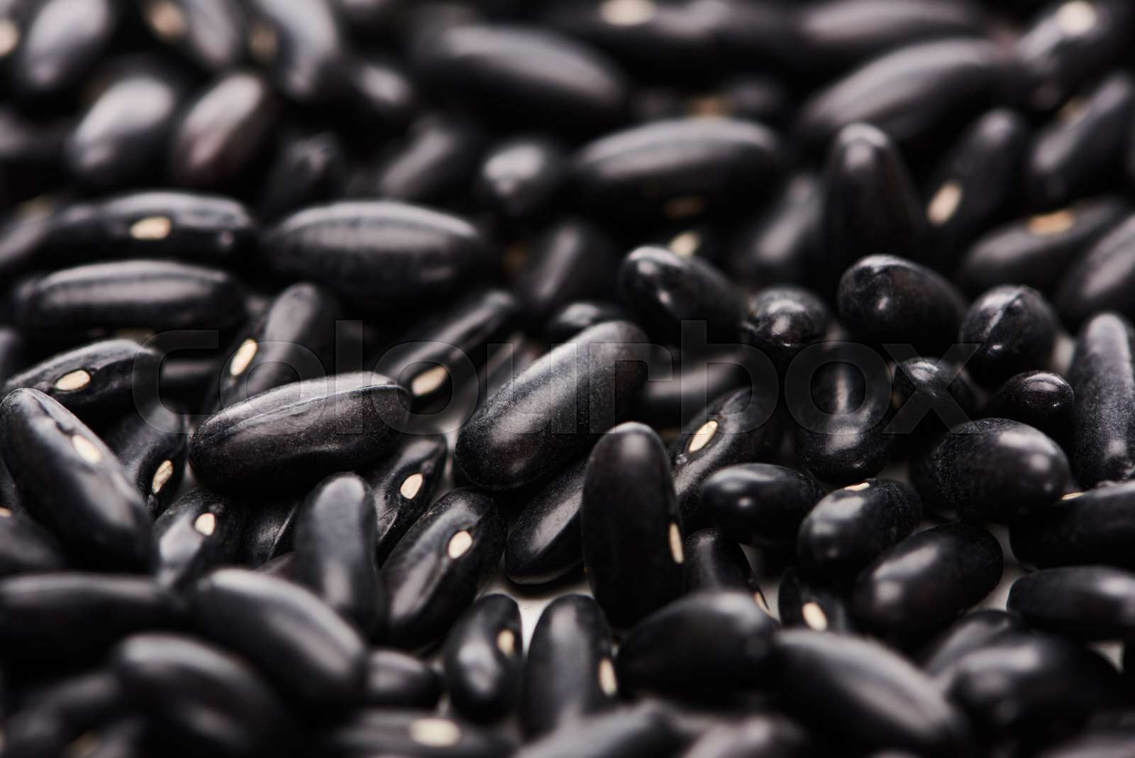 close up view of raw organic small black beans | Stock image | Colourbox