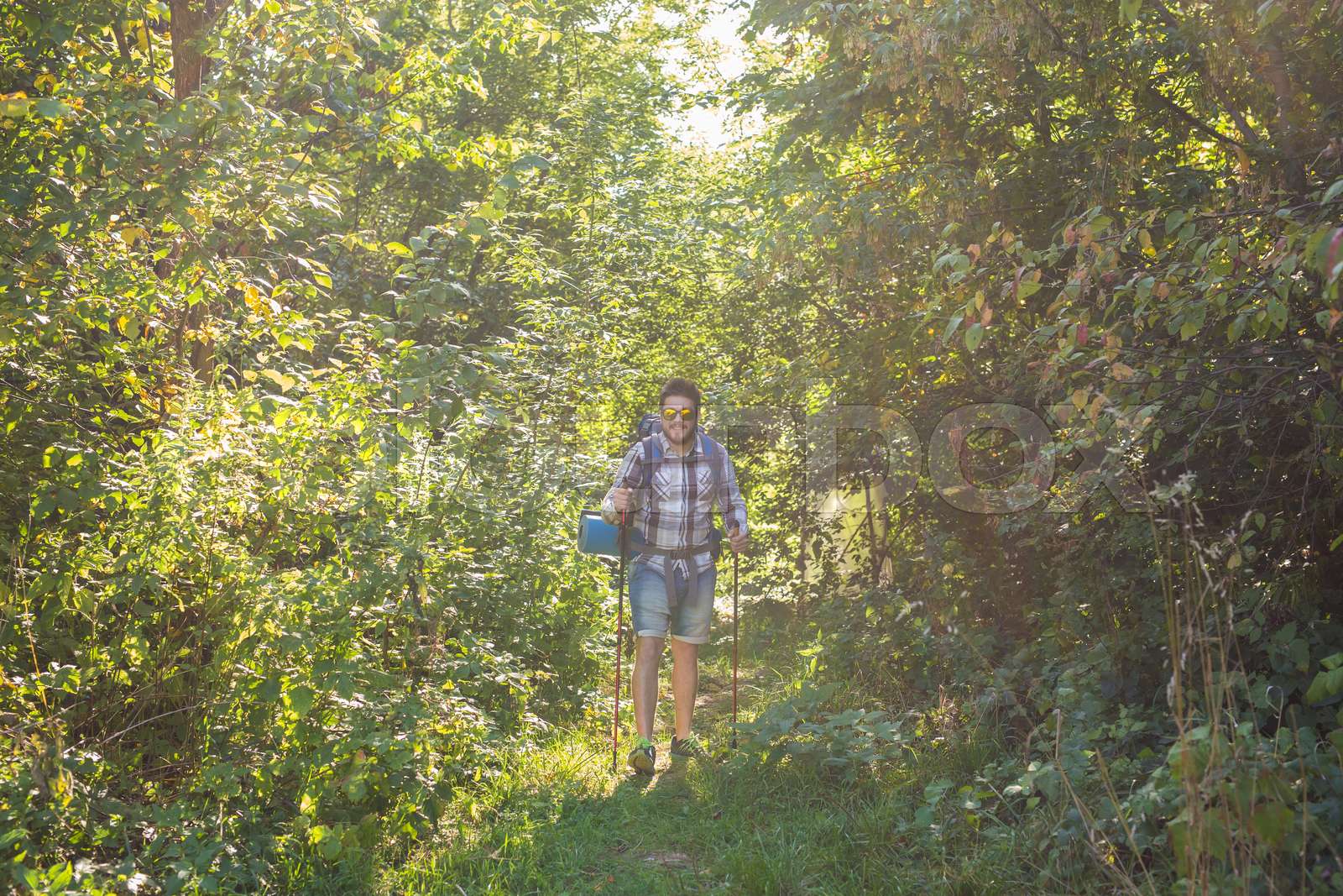 People, hike, tourism and nature concept - Man in the forest | Stock ...