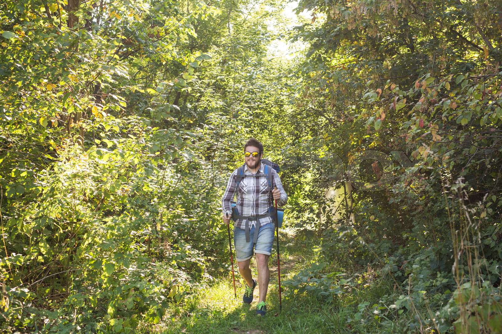People, hike, tourism and nature concept - Man in the forest | Stock ...