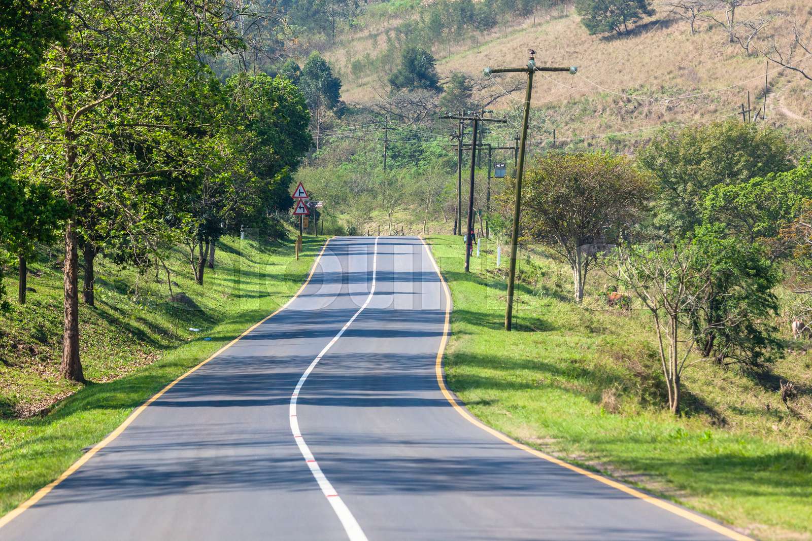 Scenic Valley Road Landscape | Stock image | Colourbox