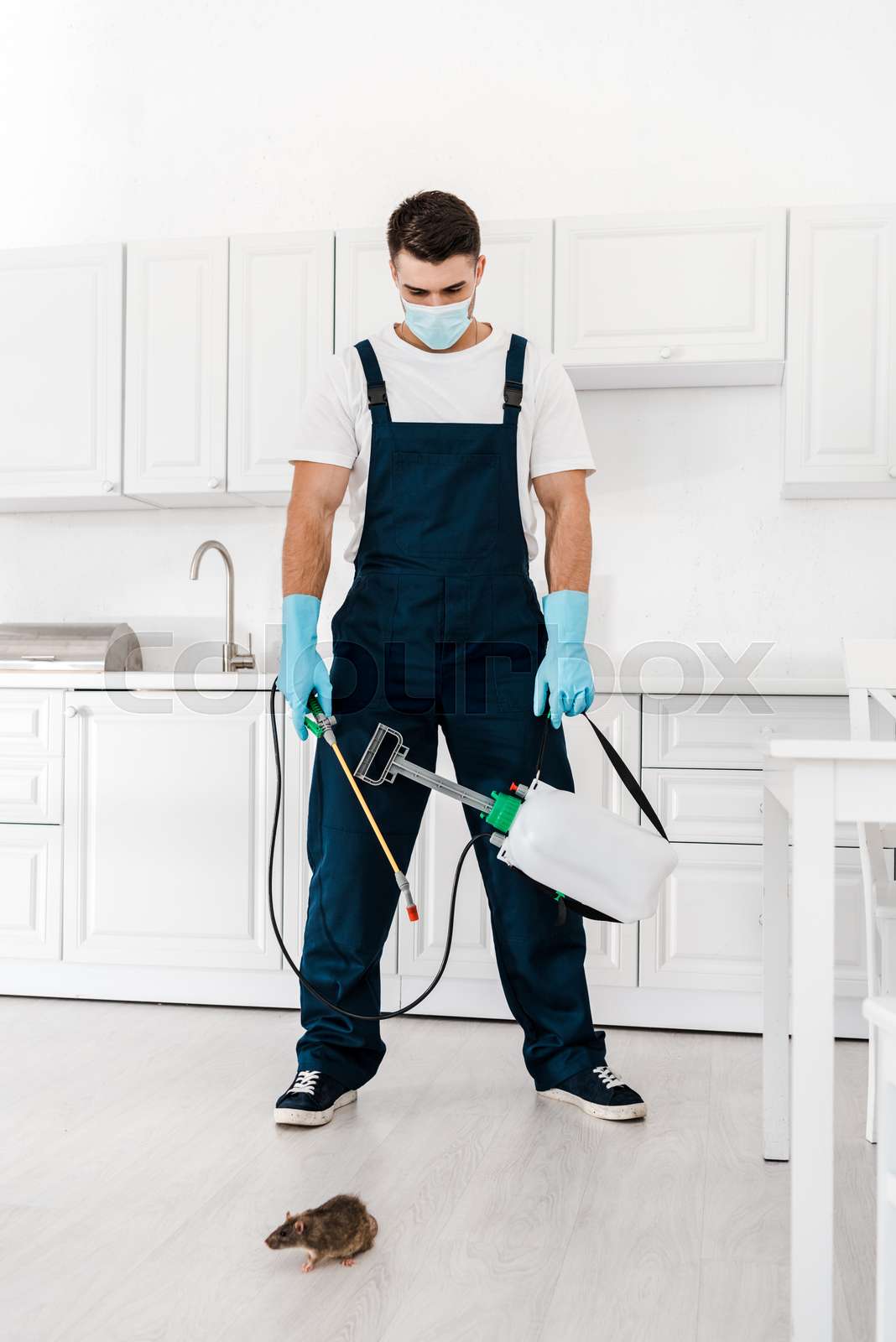 exterminator in uniform and protective mask holding toxic equipment ...