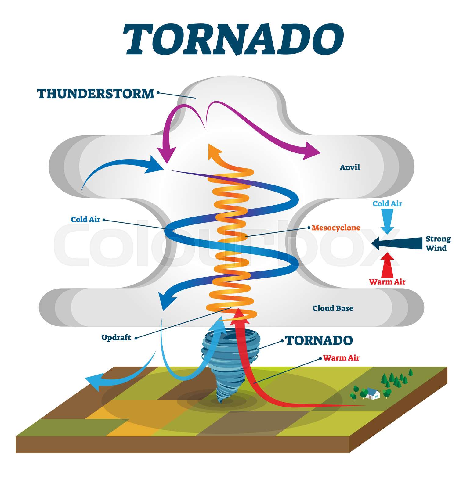 Multiple Vortex Tornado Diagram
