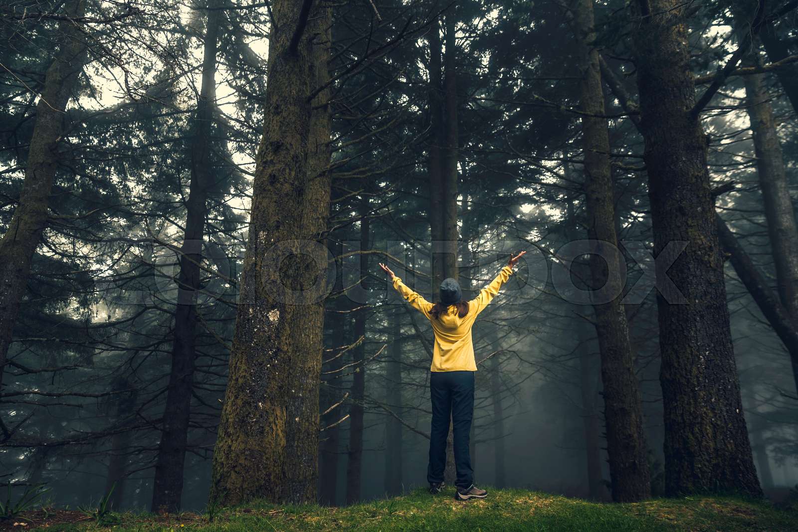 Female enjoying the nature | Stock image | Colourbox
