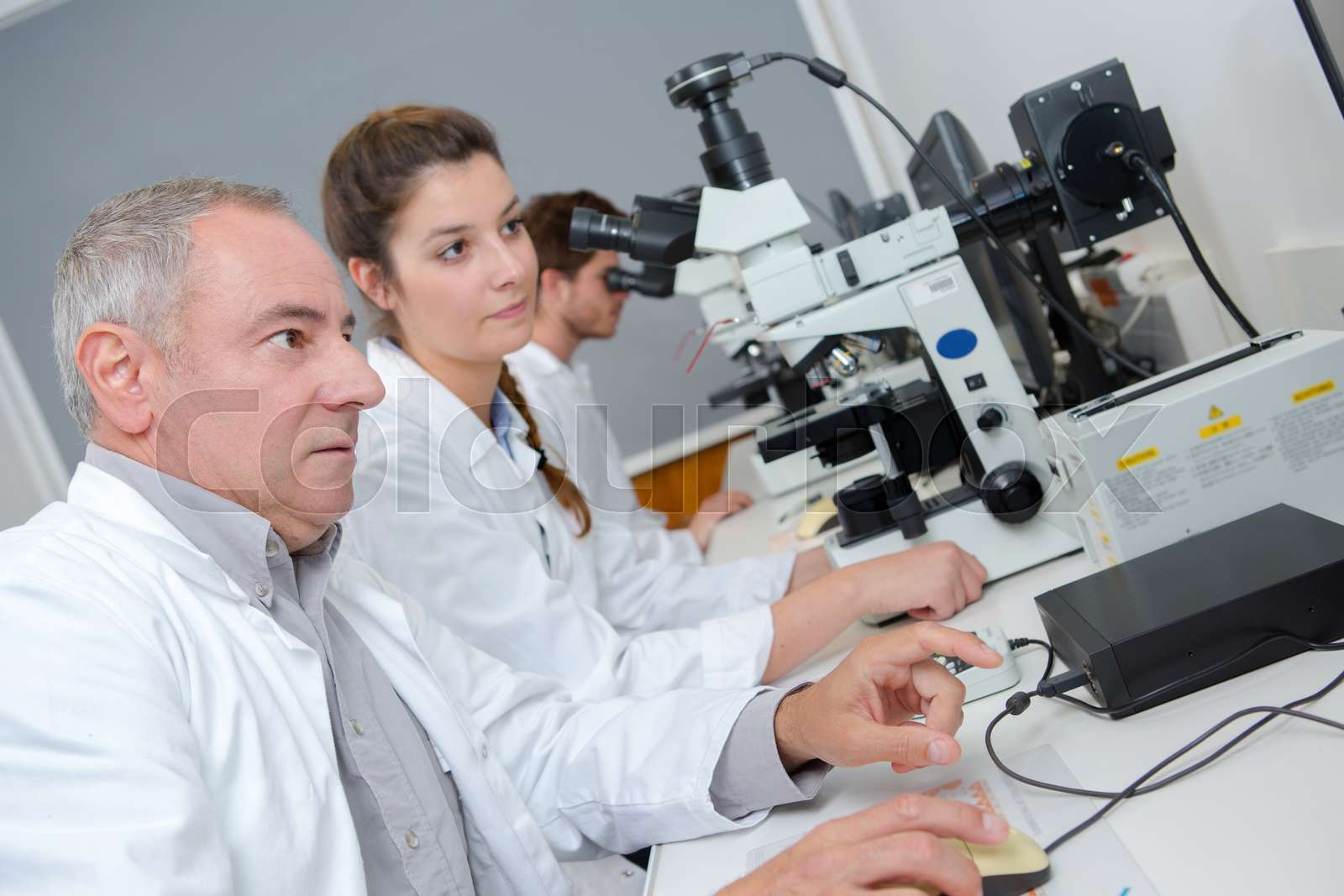 student doing their laboratory observation | Stock image | Colourbox