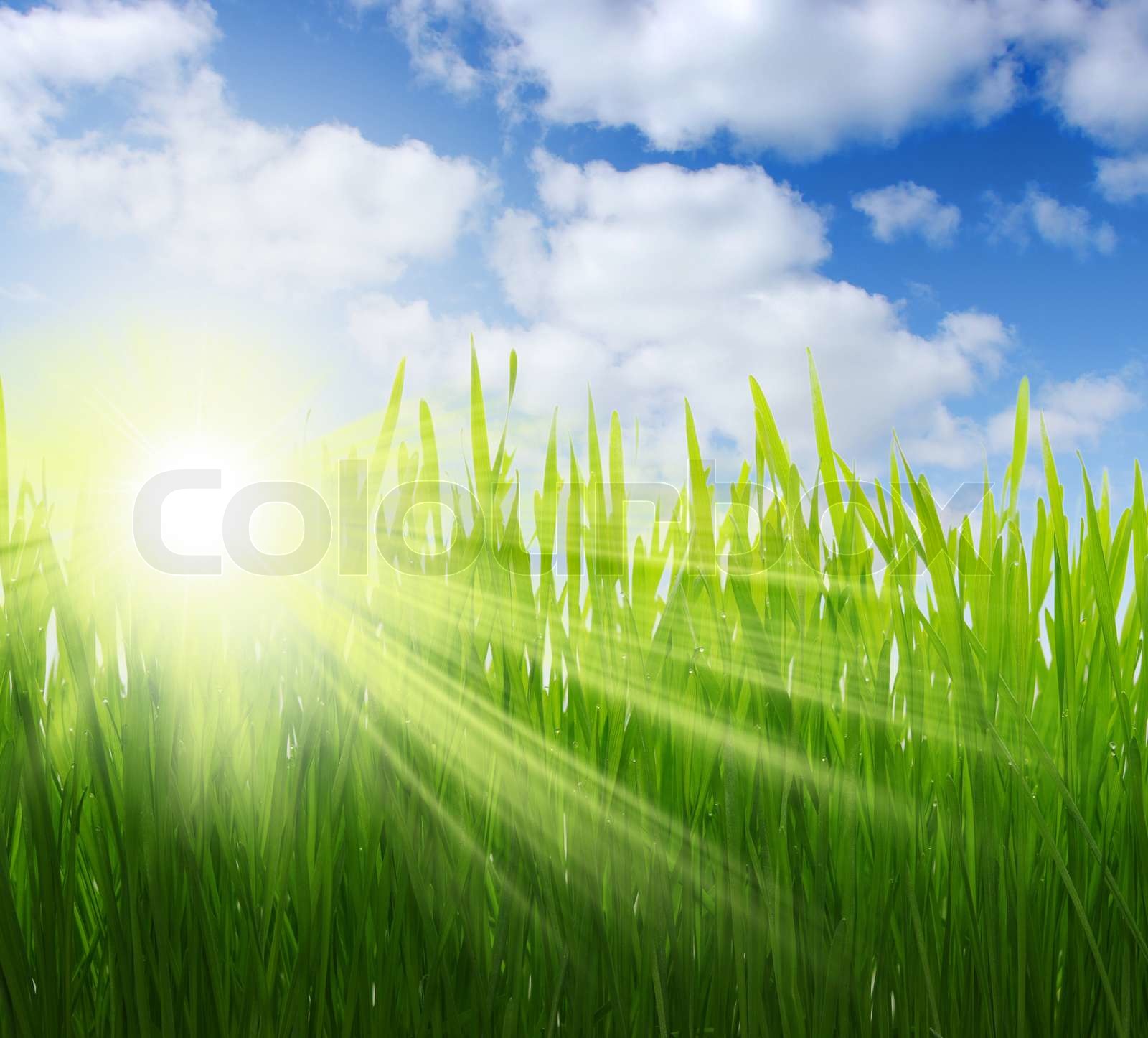 sunlight | Stock image | Colourbox