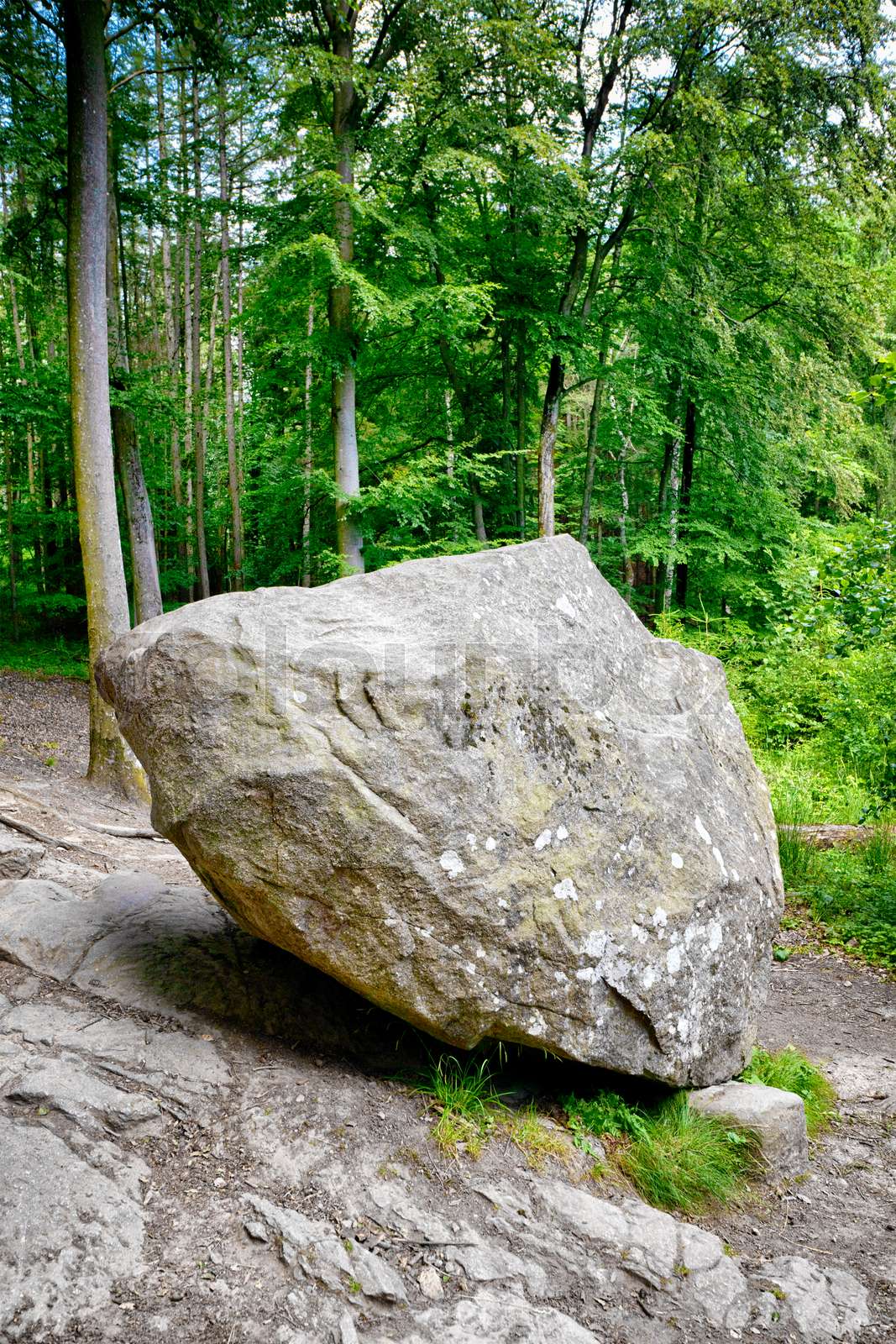Large rock in a green forest in the summer | Stock image | Colourbox