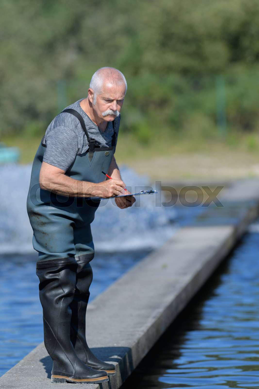 fish farm owner during inspection | Stock image | Colourbox