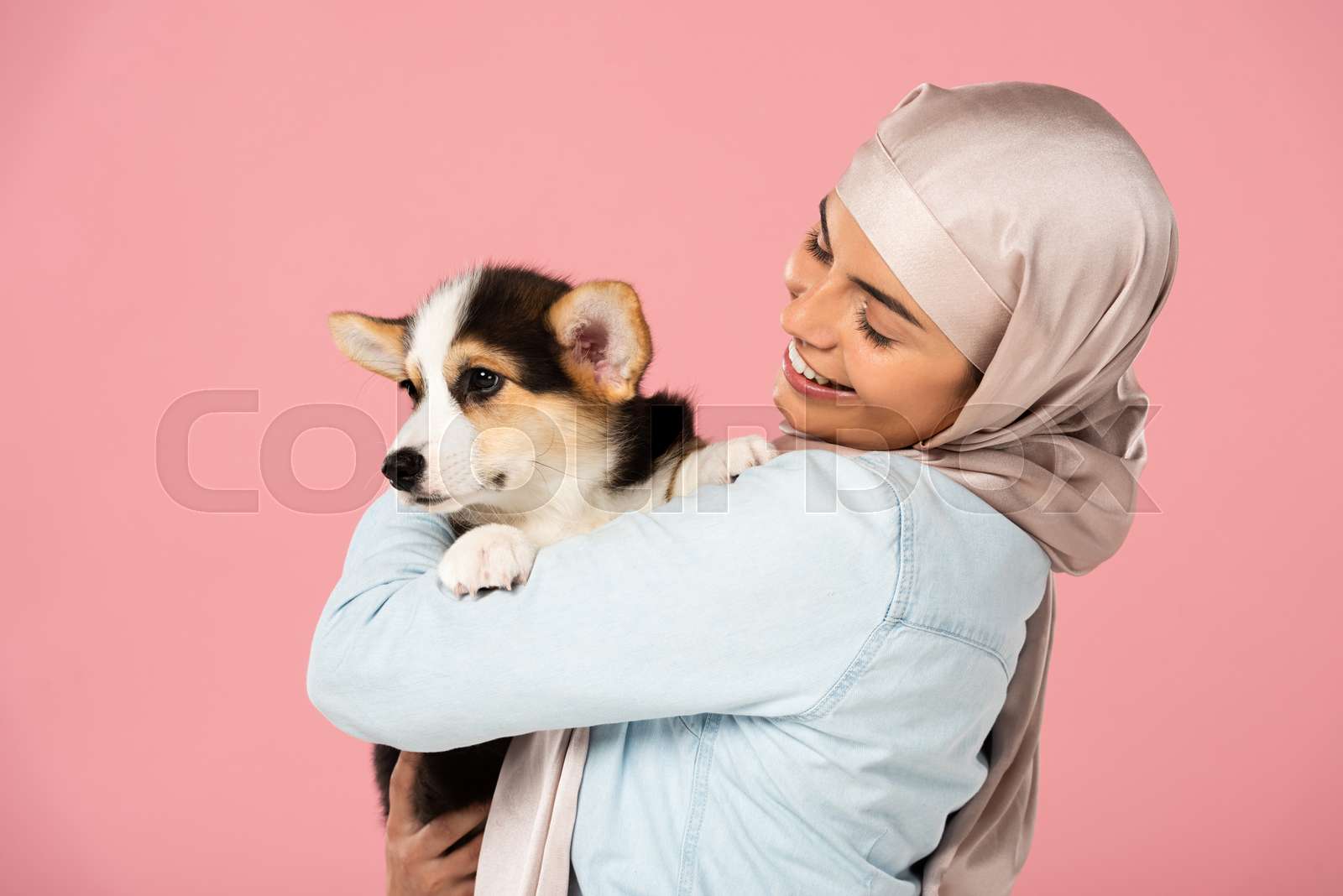cheerful muslim girl in hijab holding Welsh Corgi dog, isolated on pink ...