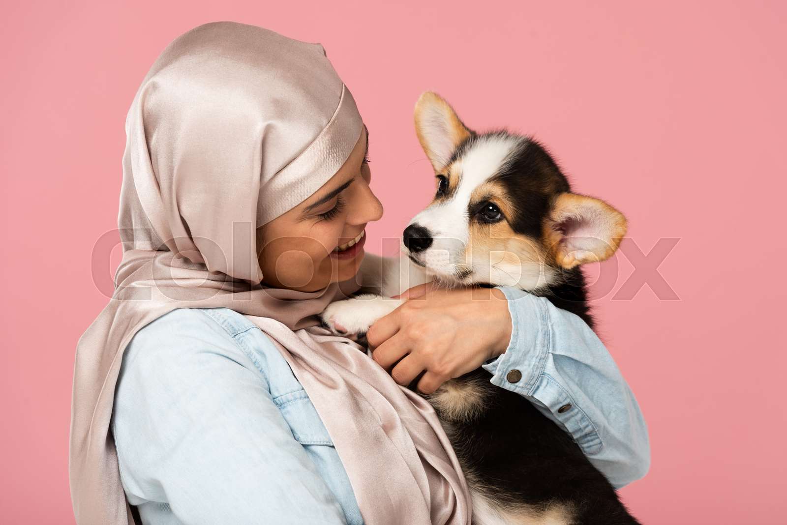 beautiful muslim girl in hijab holding Welsh Corgi puppy, isolated on ...
