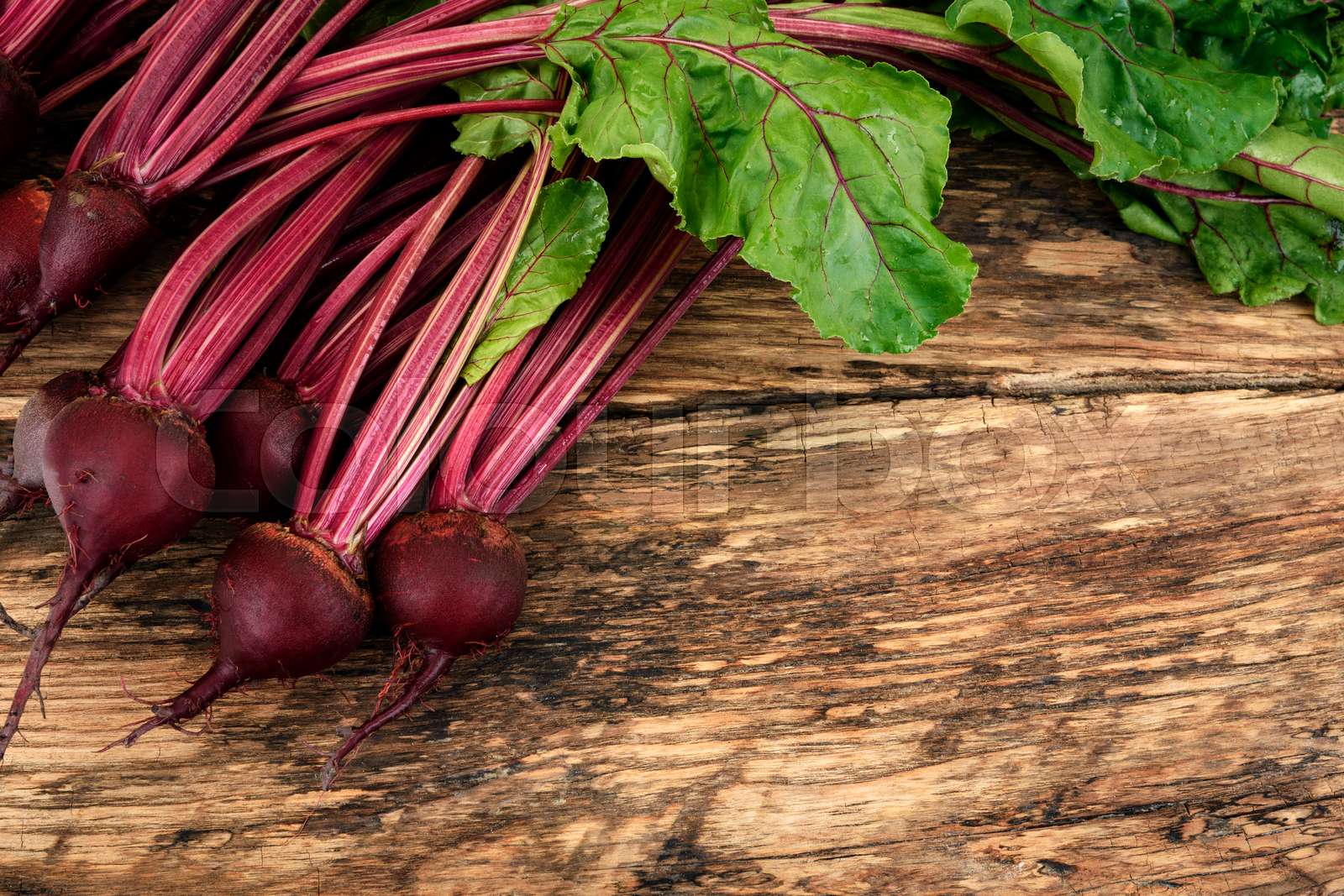 Fresh beetroots from organic farm | Stock image | Colourbox