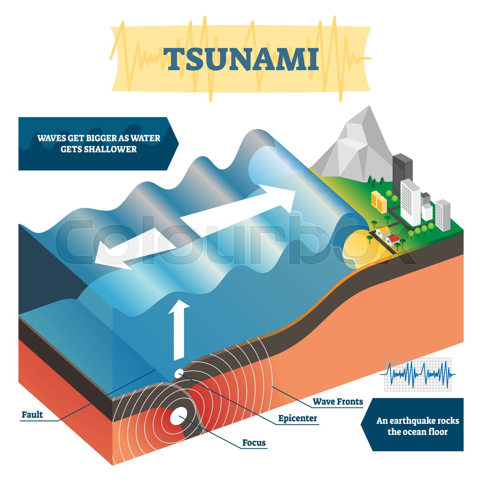 Tsunami vector illustration. Labeled educational big ocean wave ...