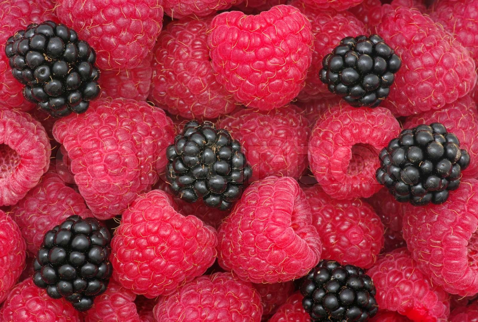 Himbeer Hintergrund | Stock Bild | Colourbox