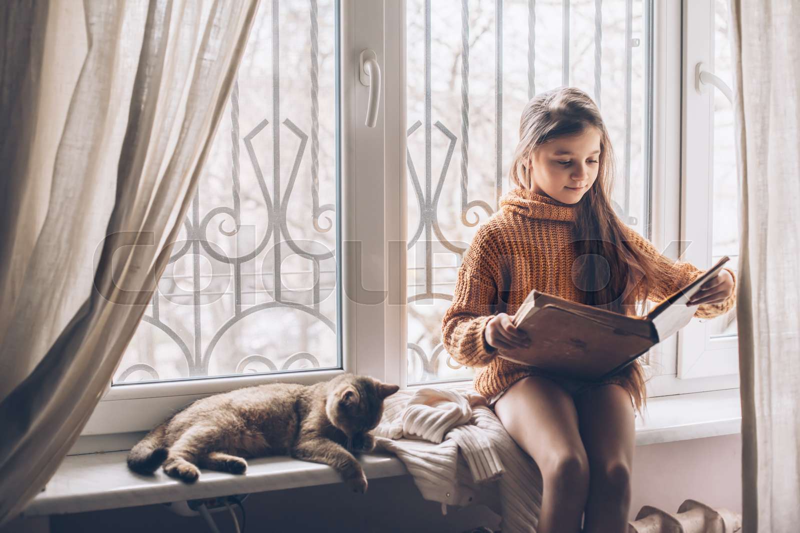 Child reading a book with cat | Stock image | Colourbox