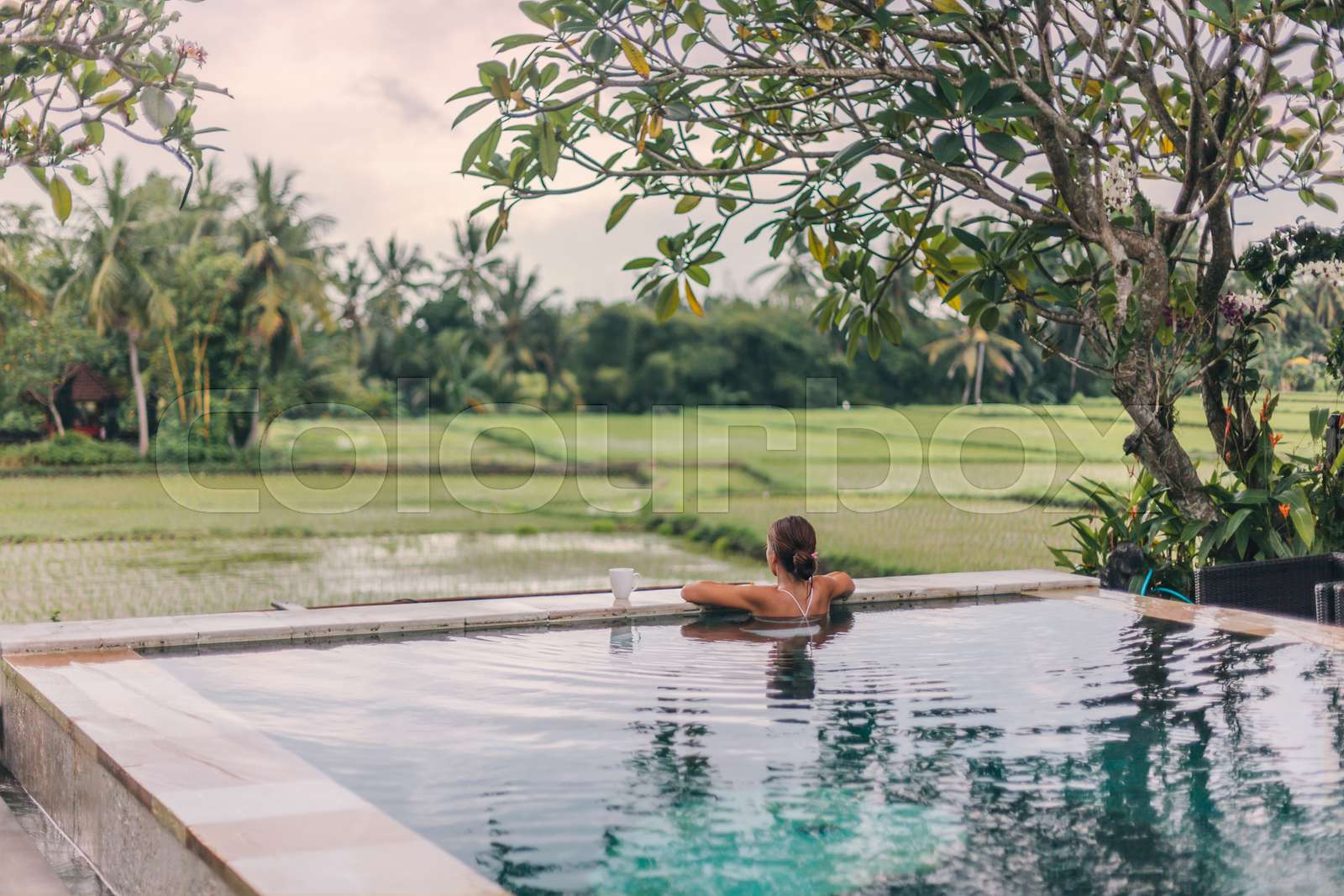 Infinity pool with a view on rice terrace, Ubud, Bali | Stock image ...