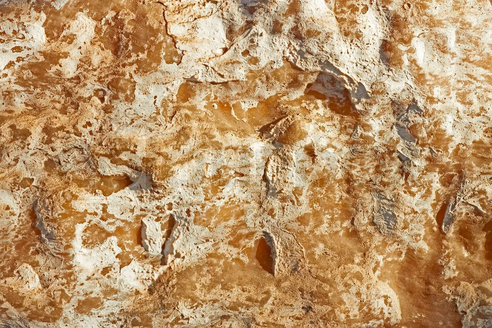 Stone with calcareous layers | Stock image | Colourbox