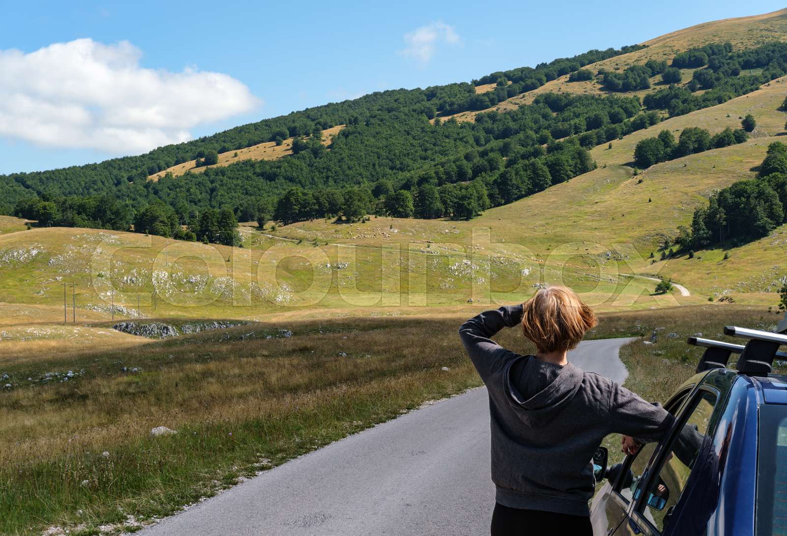 Summer mountain Durmitor National Park, Montenegro. Durmitor panoramic ...