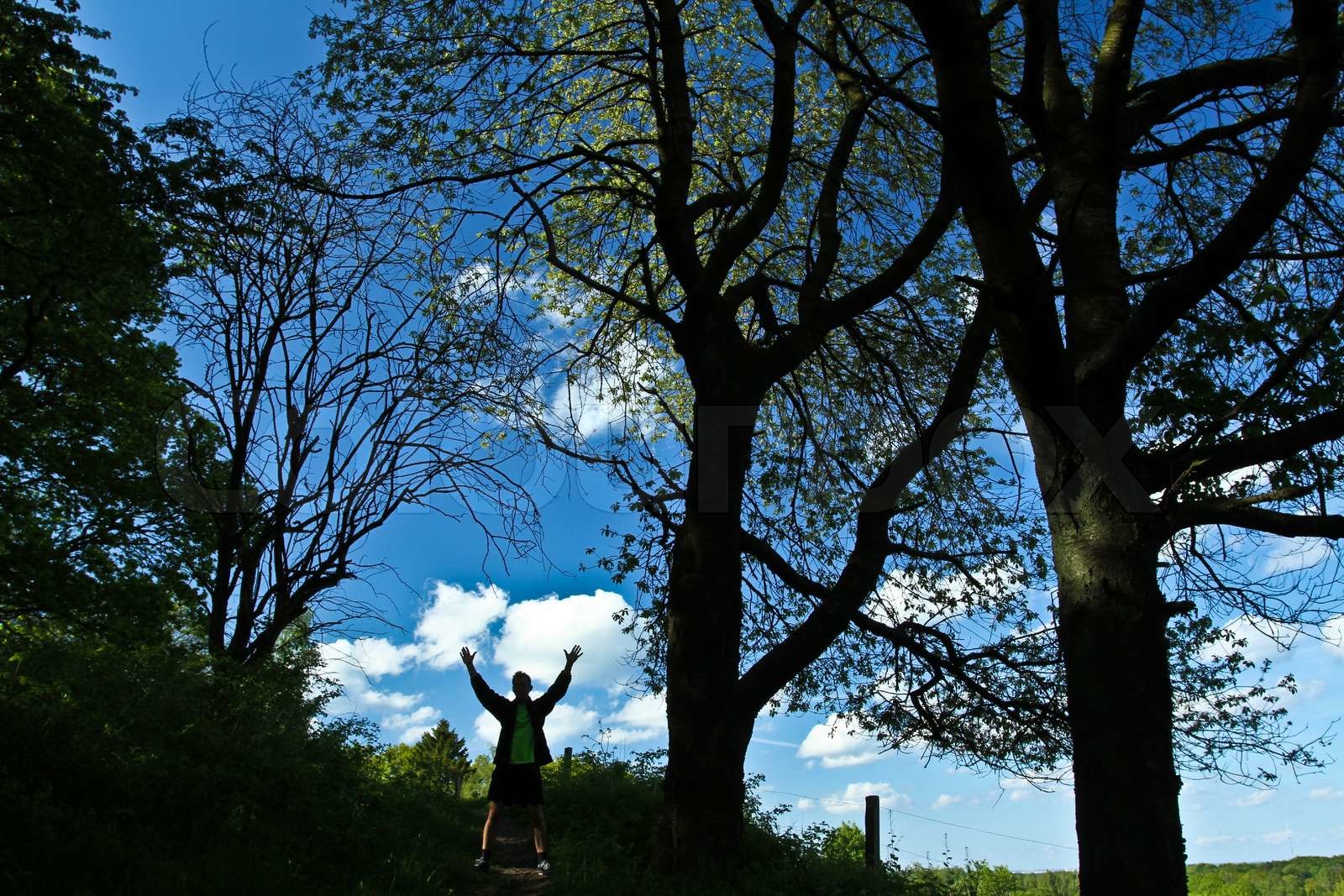 Høje Sandbjerg | Stock image | Colourbox