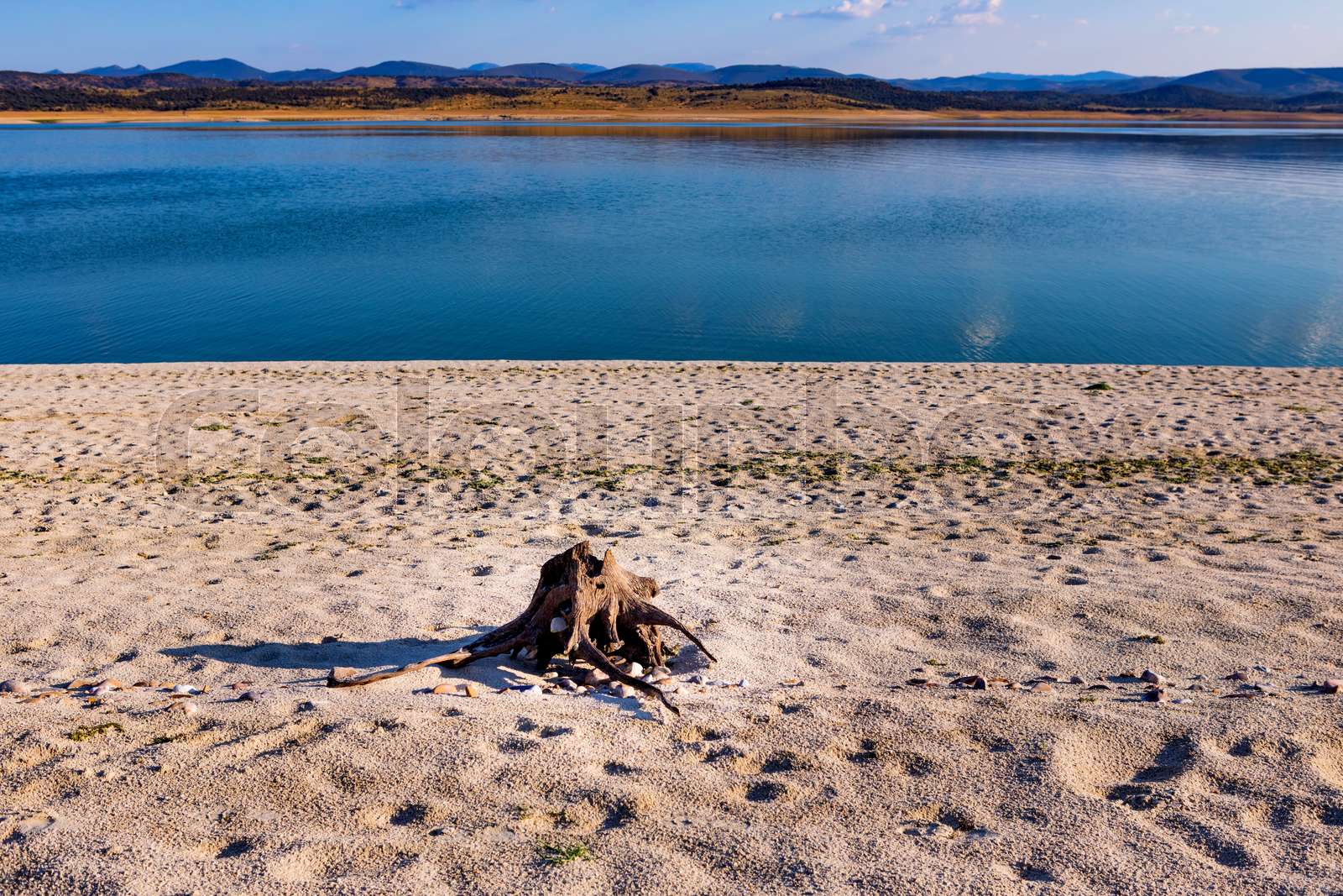 Reservoir almost empty due to drought | Stock image | Colourbox